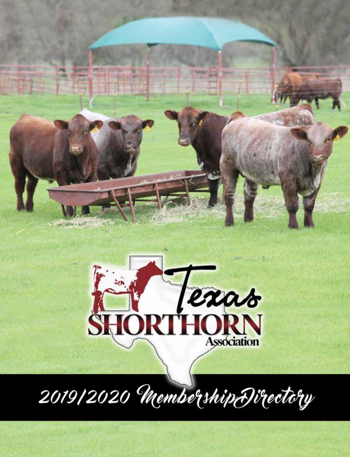 Texas Shorthorn Directory by SCI - Stephanie Cronin, INC - Issuu