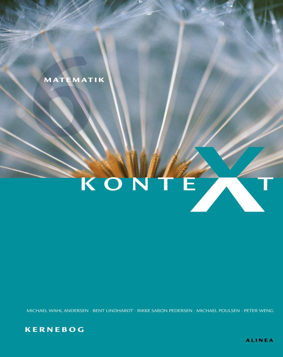 KonteXt 6, Kernebog by Alinea - Issuu