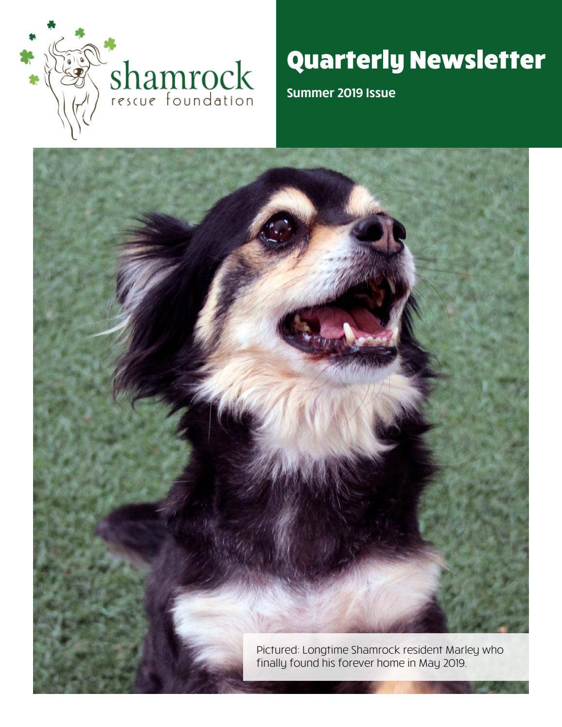 Shamrock Newsletter by Centaurus Financial, Inc. - Issuu