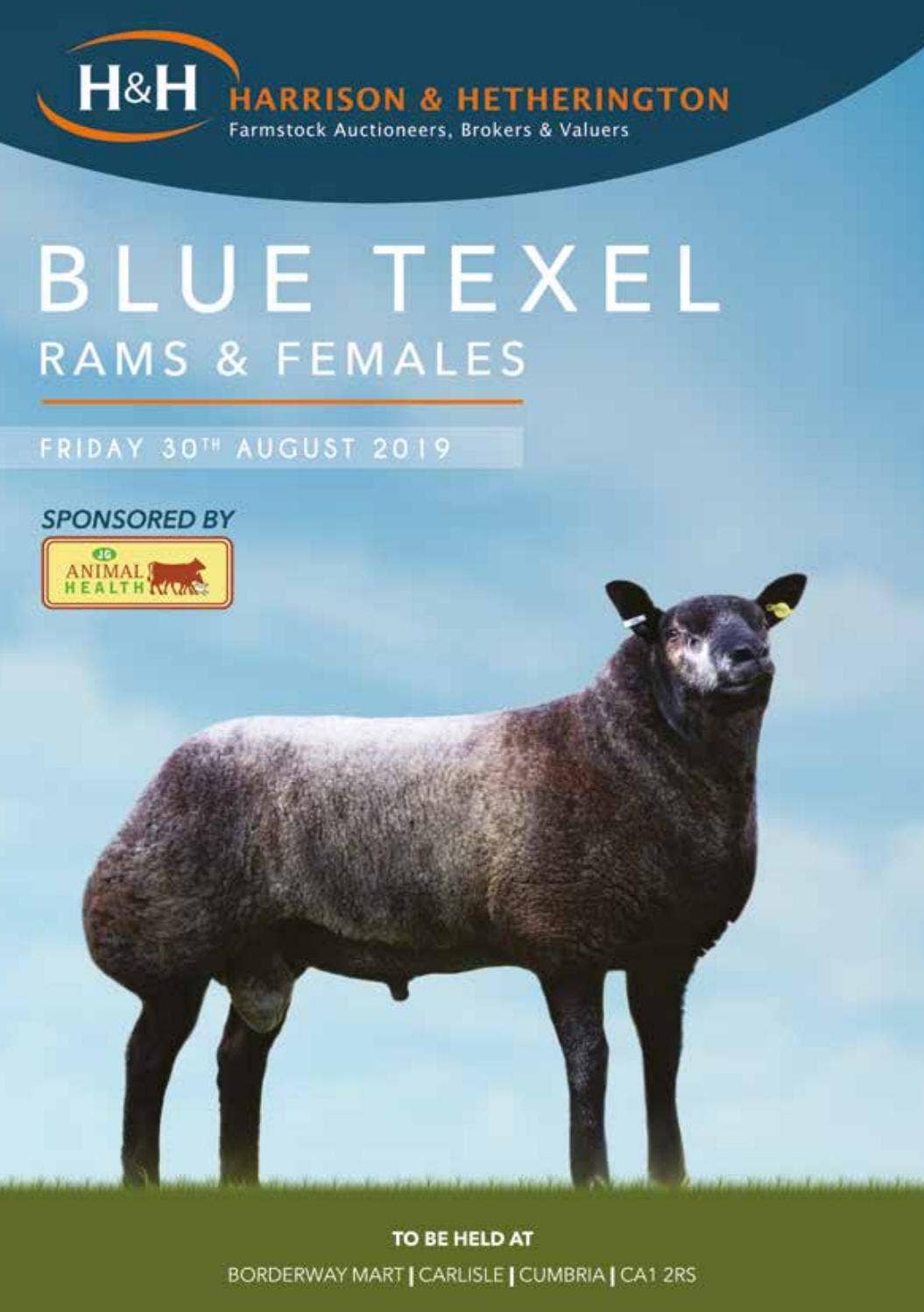 Blue Texel Catalogue 300819 by Harrison & Hetherington - Issuu