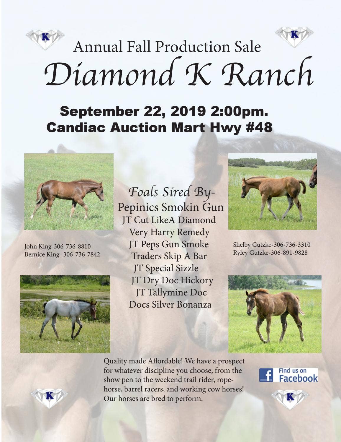 Diamond K Ranch 2019 by Shelby King - Issuu