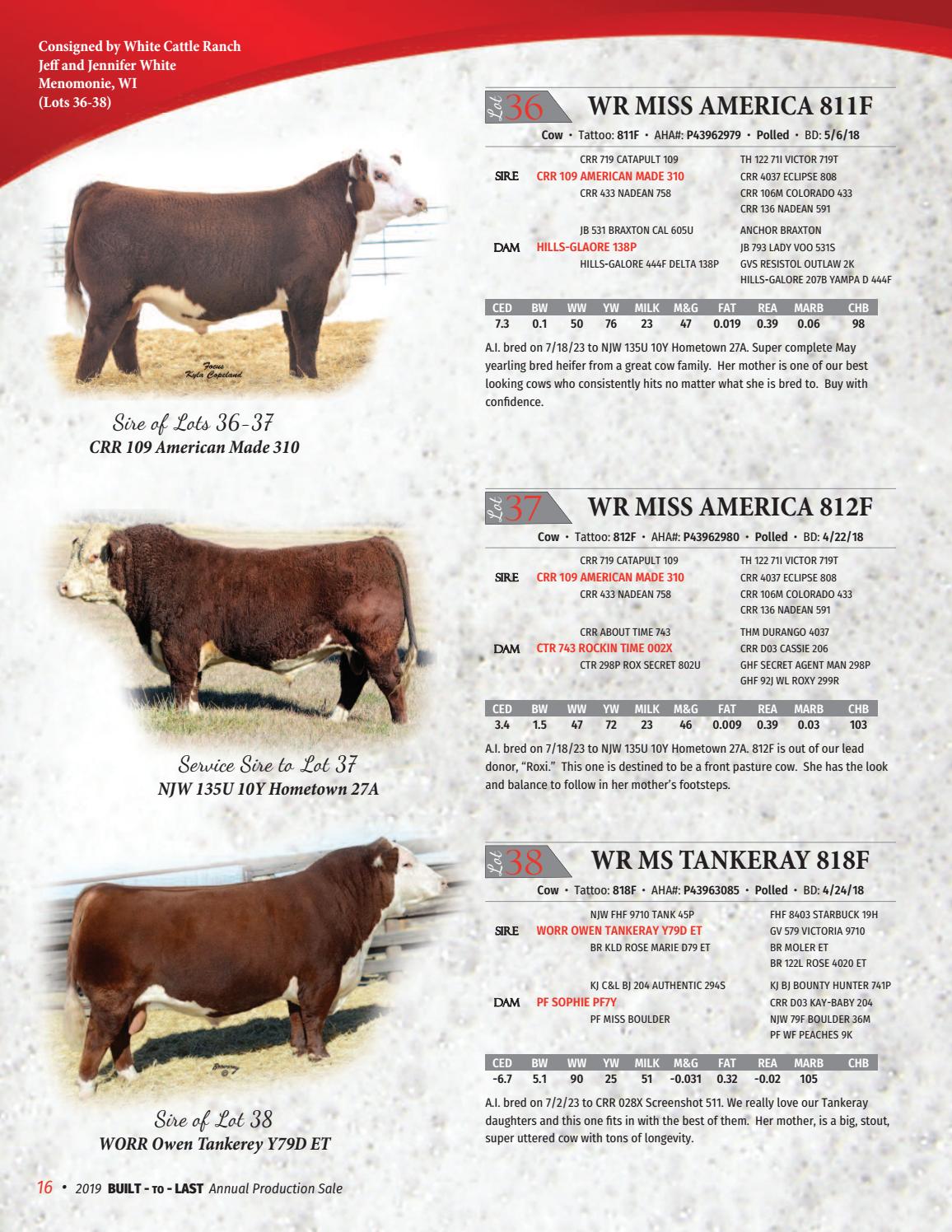 Lamb Bros Beef Farm Annual Production Sale by American Hereford ...