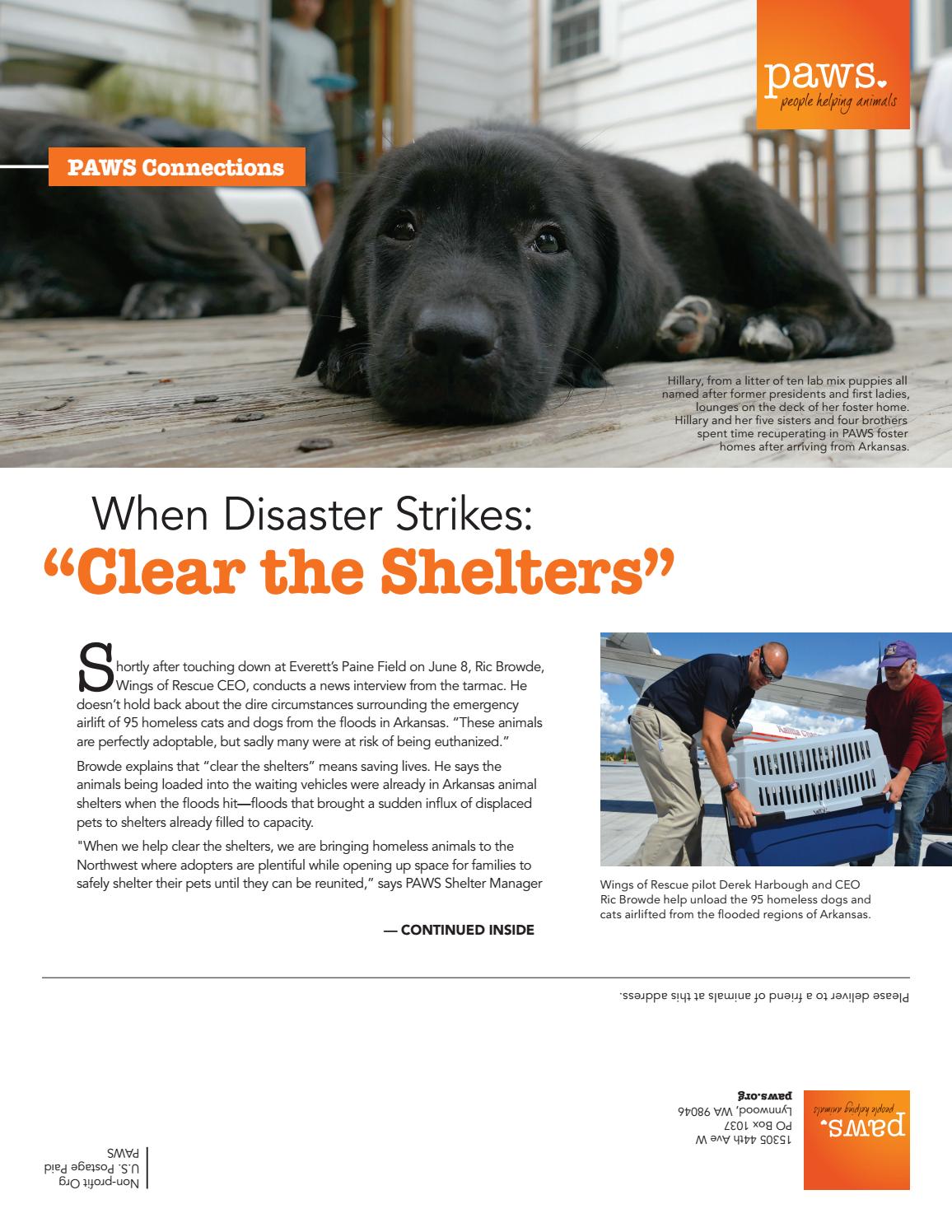 PAWS Mini Magazine Summer 2019 by PAWS - Issuu