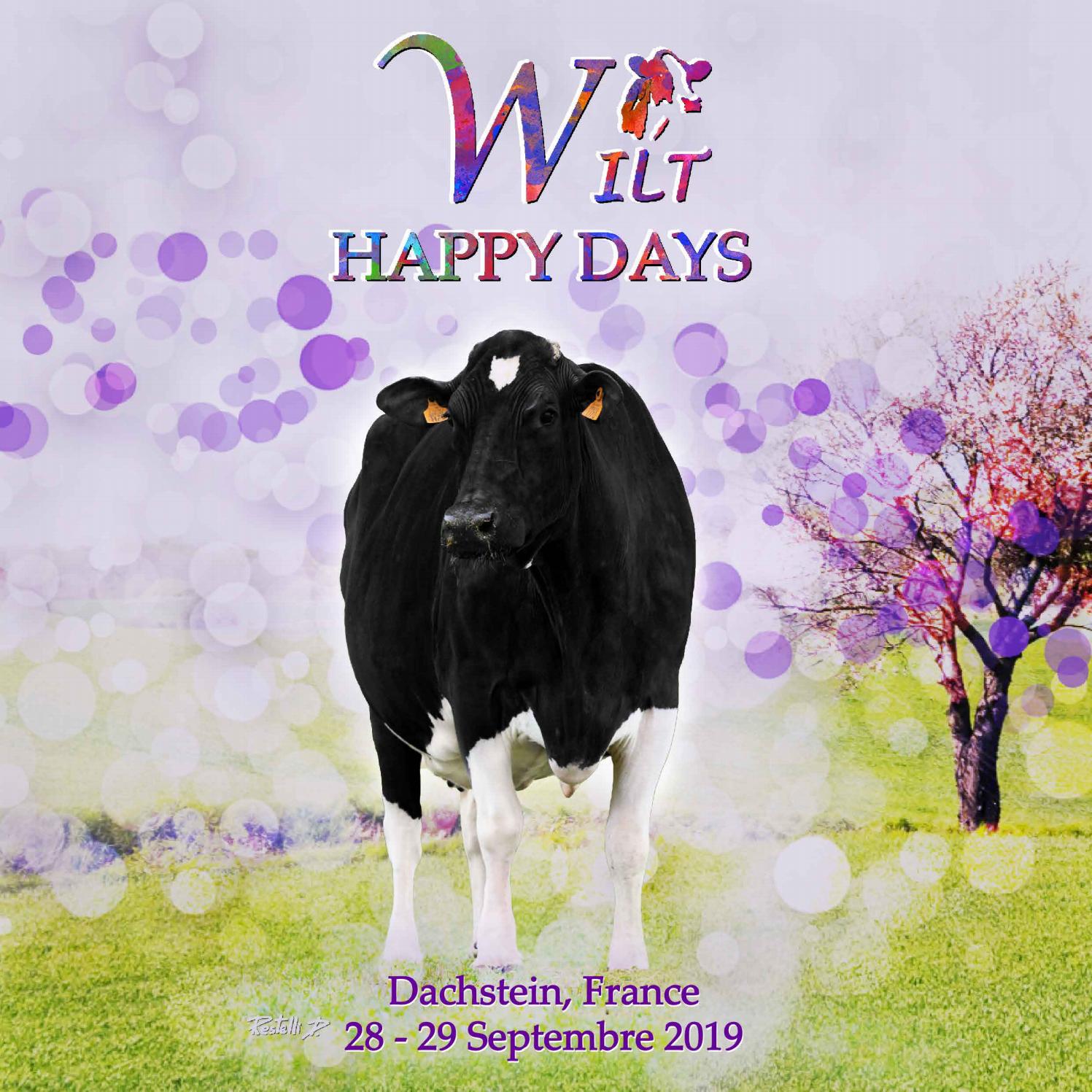 CATALOGUE WILT HAPPY DAYS 2019 by S TOLEDO - Issuu