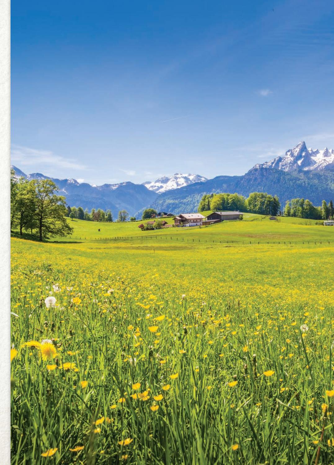 Travel guide «Welcome to the Swiss Alps» in Hebrew by SIG FSCI - Issuu