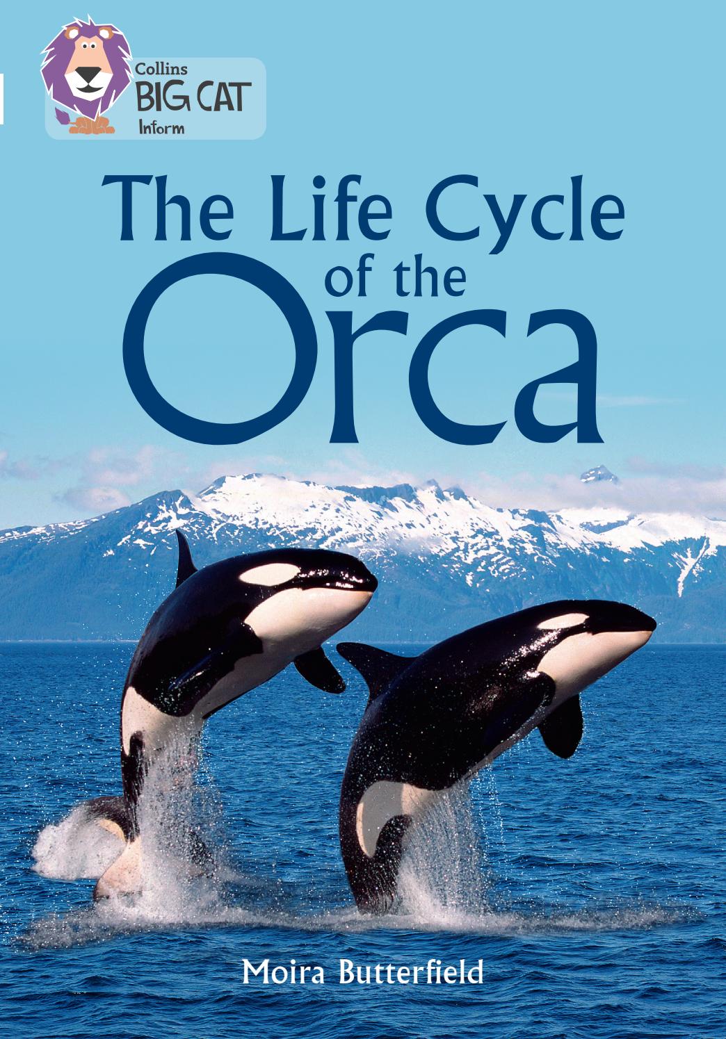 THE LIFE CYCLE OF THE ORCA: Band 16/Sapphire by Collins - Issuu
