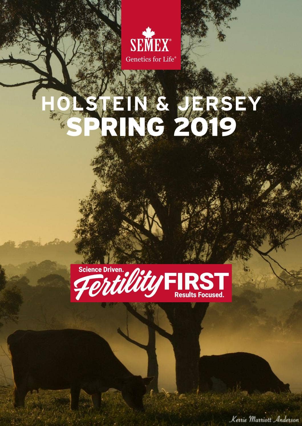 Semex - Spring 2019 Australia Catalogue by Semex - Issuu