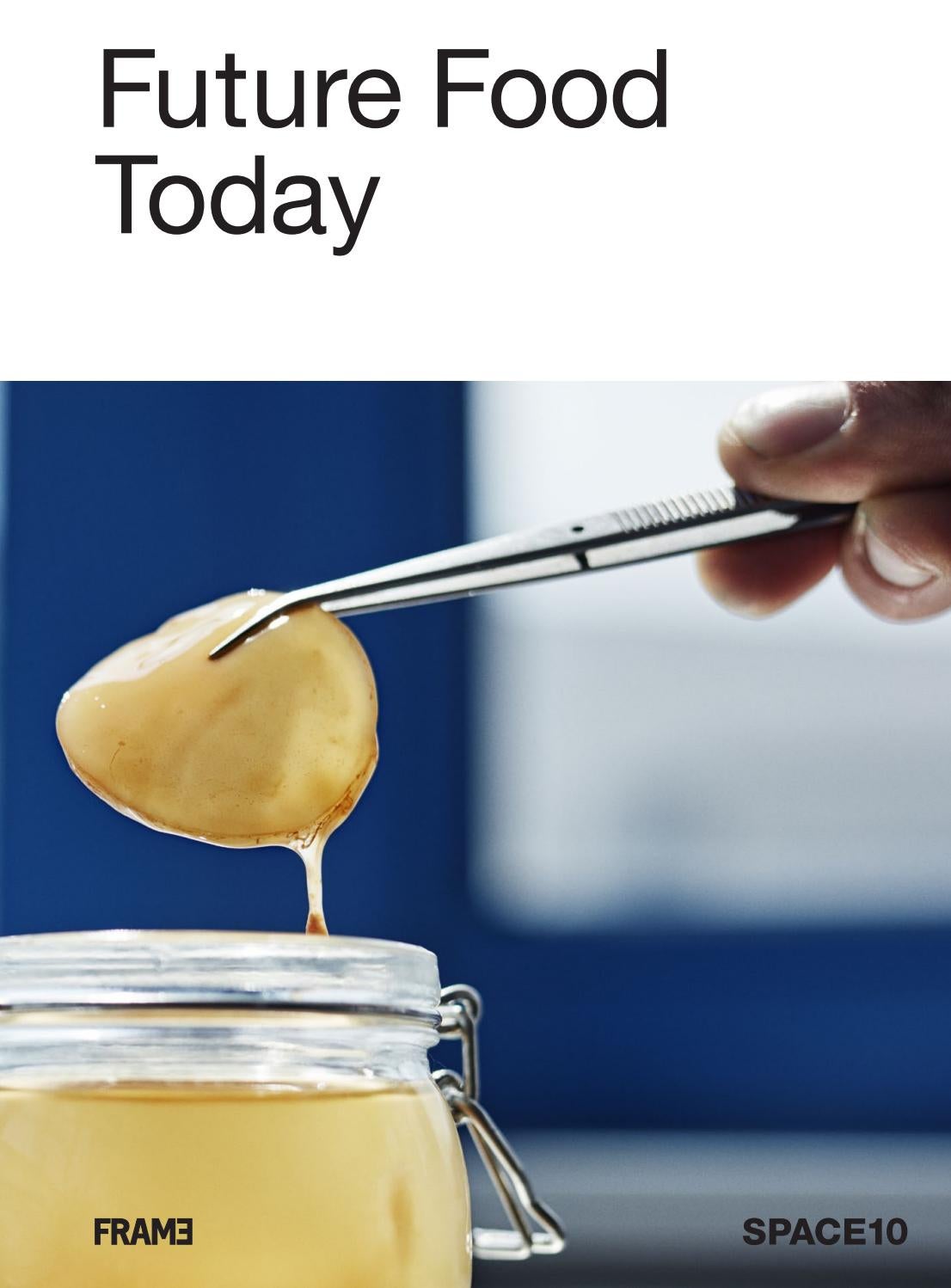 PREVIEW Future Food Today: A cookbook by SPACE10 by Frame - Issuu