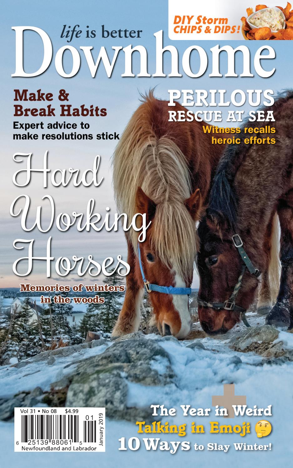 Downhome January 2019 by Downhome Publishing Inc - Issuu