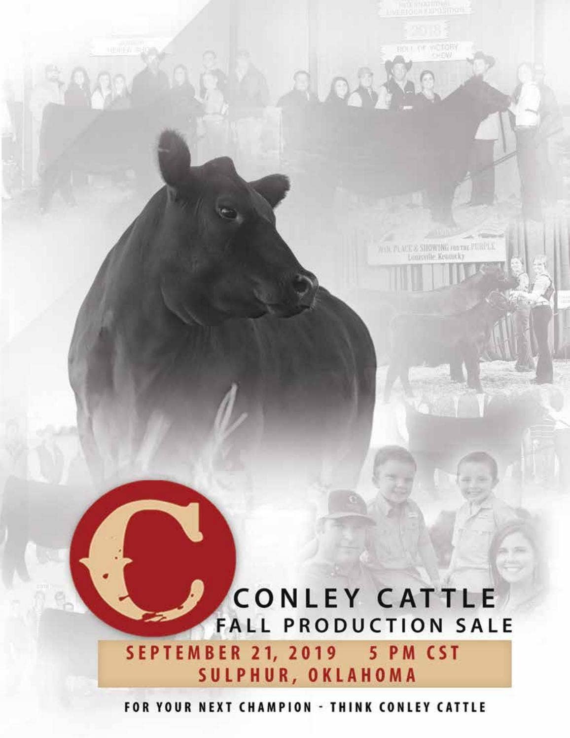 2019 Conley Cattle Annual Fall Production Sale by SCI - Stephanie ...