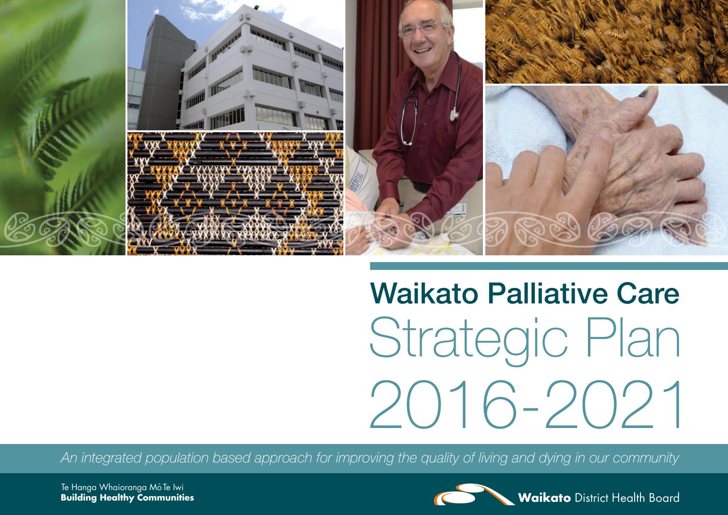 Waikato DHB Palliative Care Strategic Plan 2016-21 by Health NZ ...