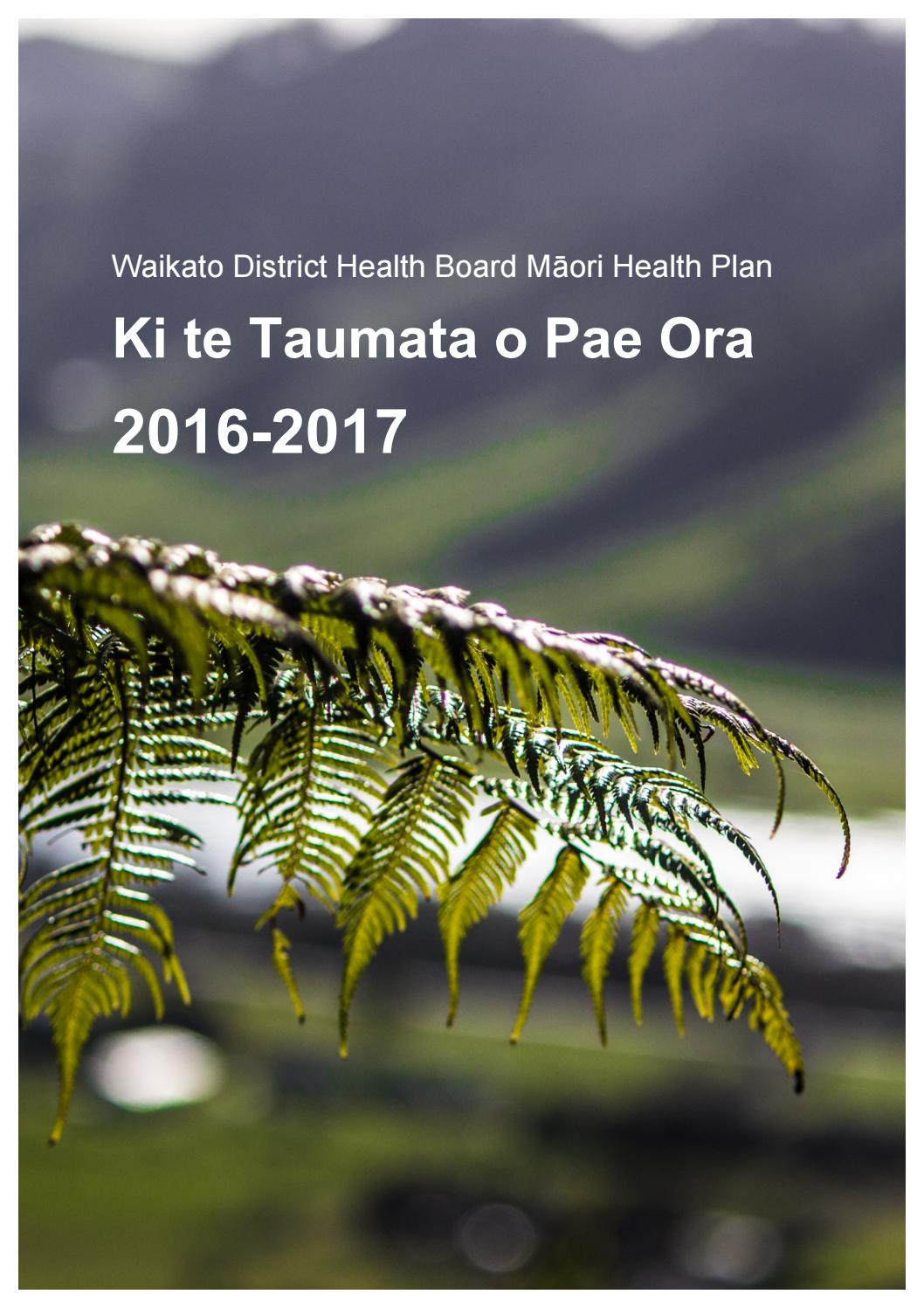 Waikato DHB Maori Health Plan 2016-17 by Waikato District Health Board ...