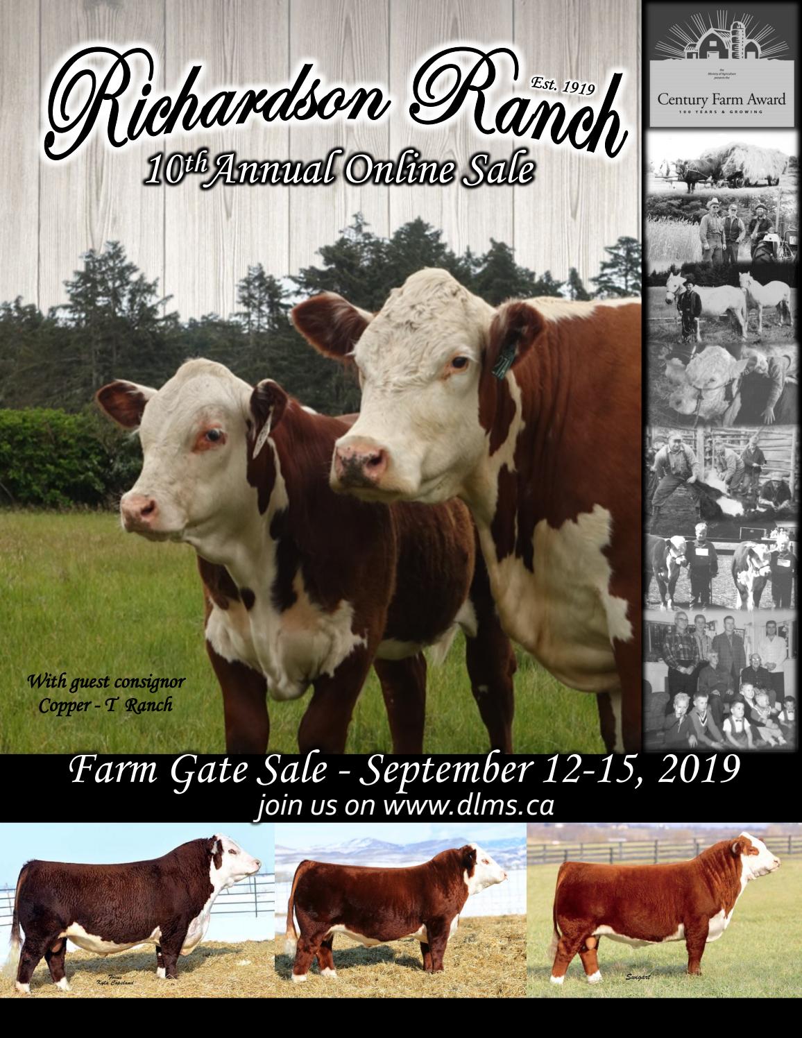 Richardson Ranch 10th Annual Online Sale by Don Richardson - Issuu