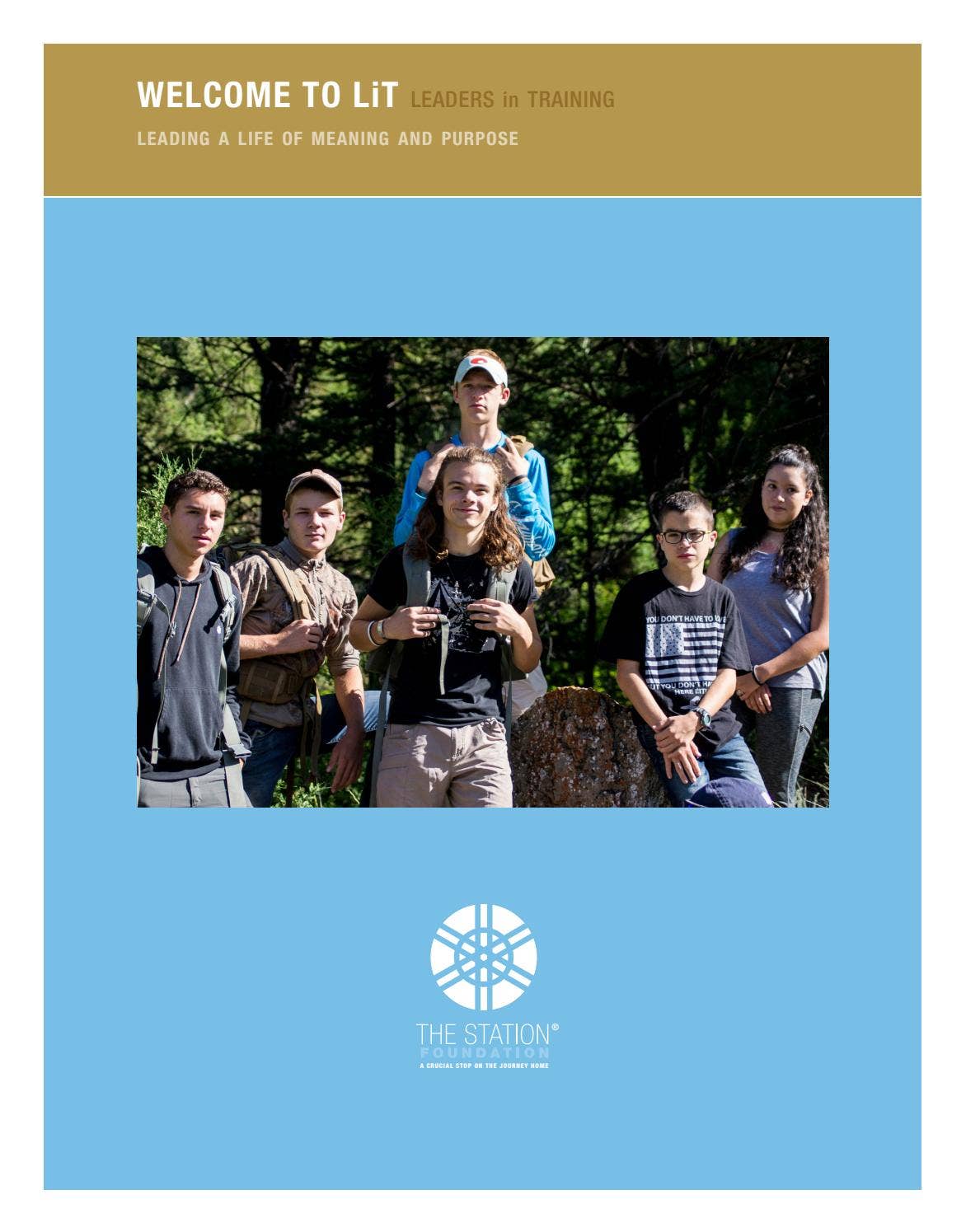 LiT Gold manual by thestationfoundation - Issuu