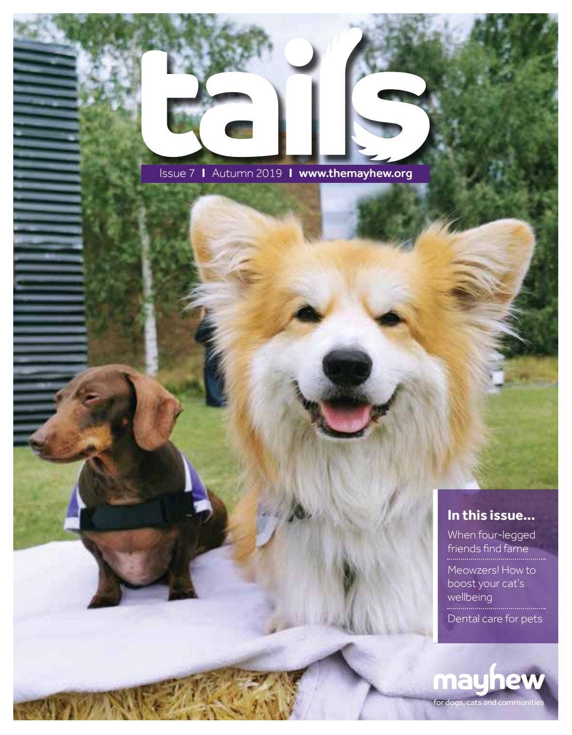 Tails | Autumn 2019 by mayhewanimalhome - Issuu