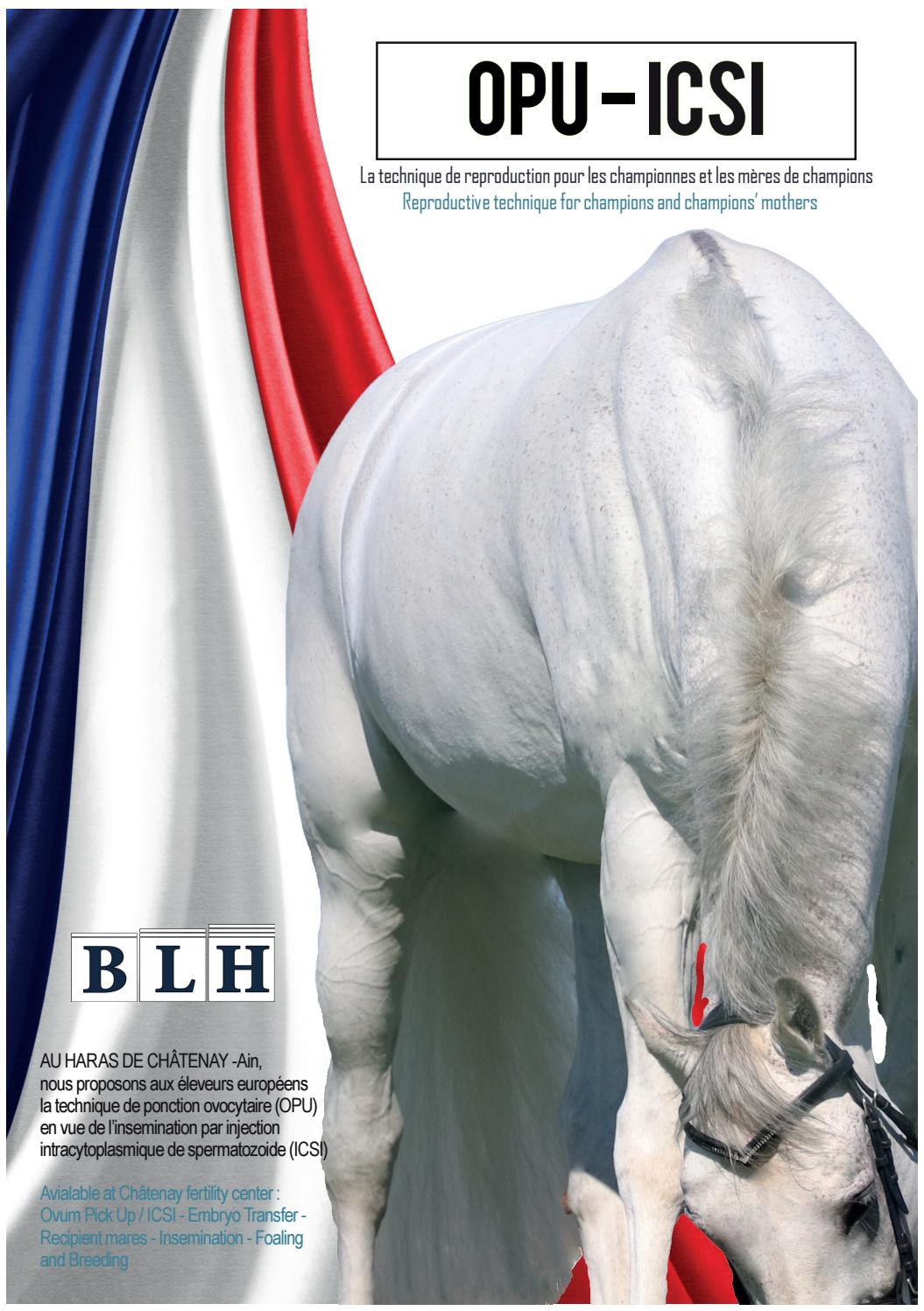 OPU / ICSI : Centre de Chatenay by Sebastien Neyrat - Issuu