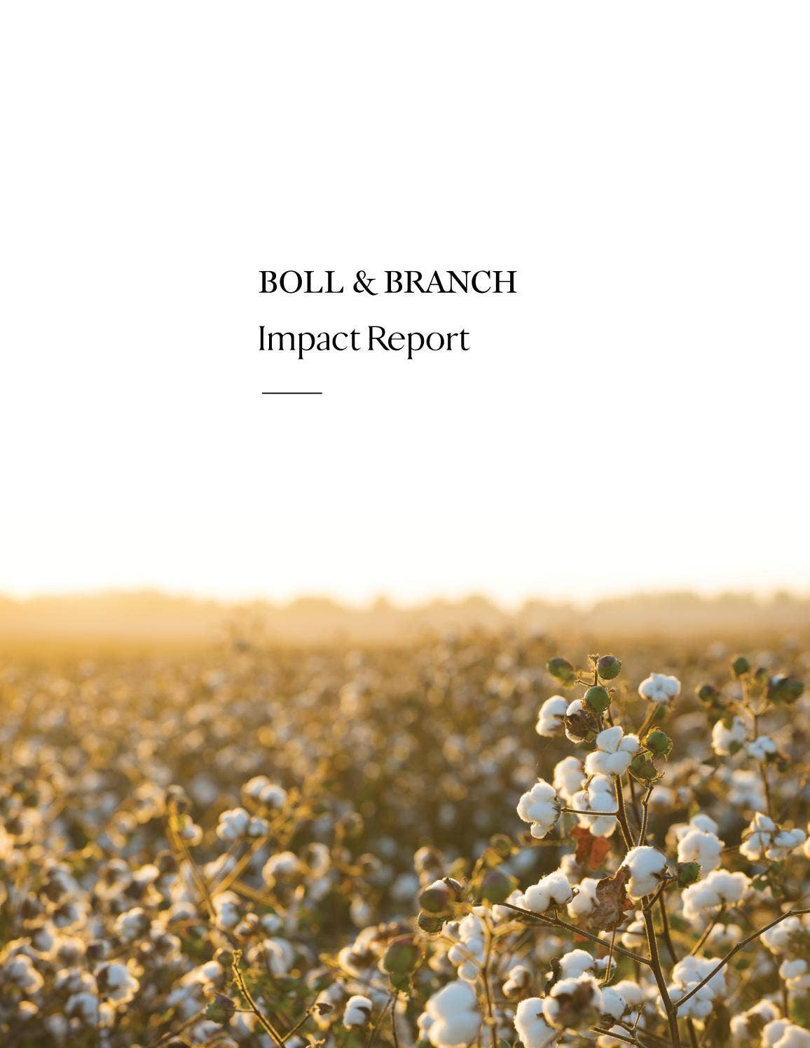 Boll & Branch Impact Report by bollandbranch - Issuu