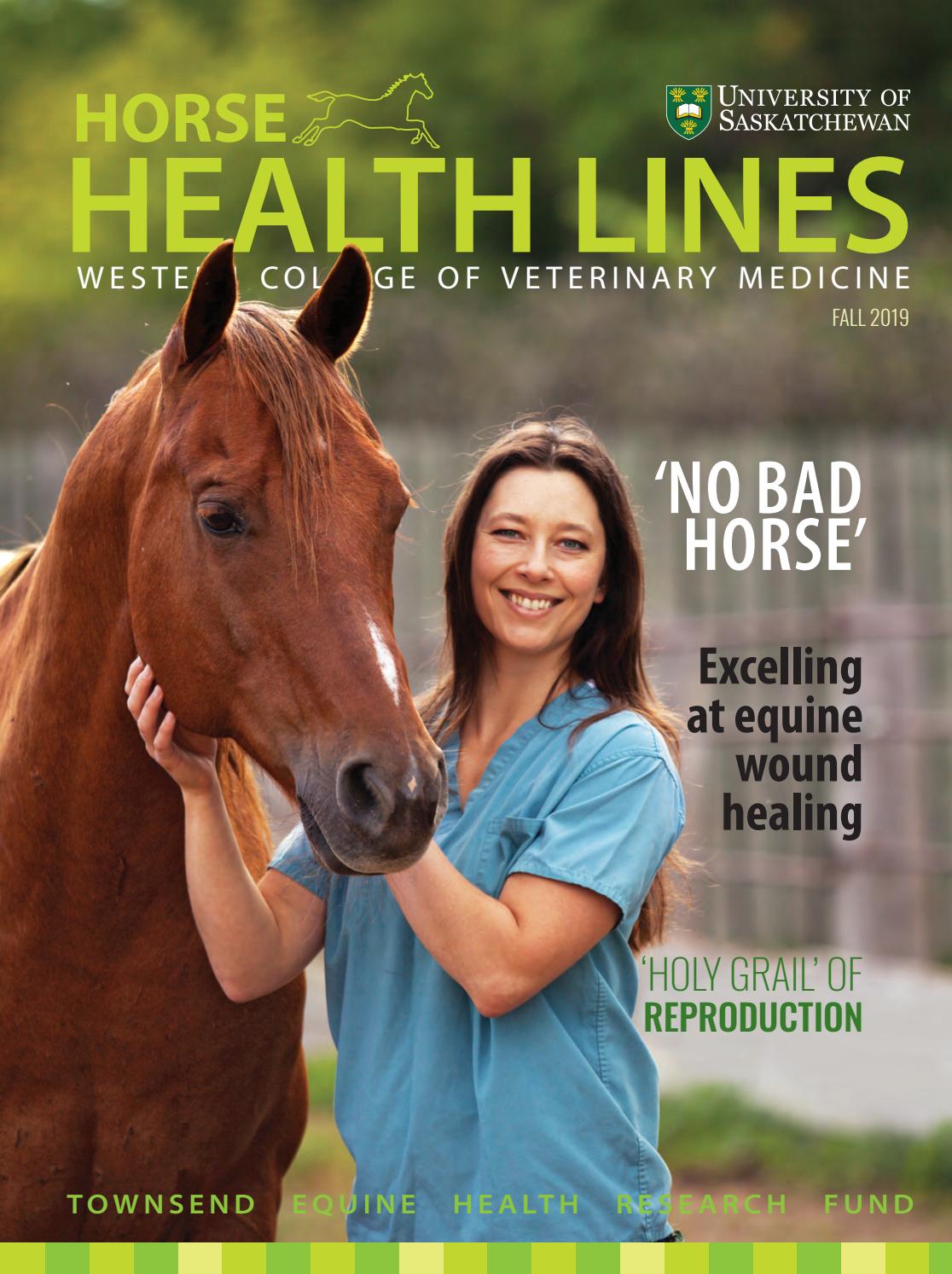 Horse Health Lines - Fall 2019 by Horse Community Journals Inc. - Issuu