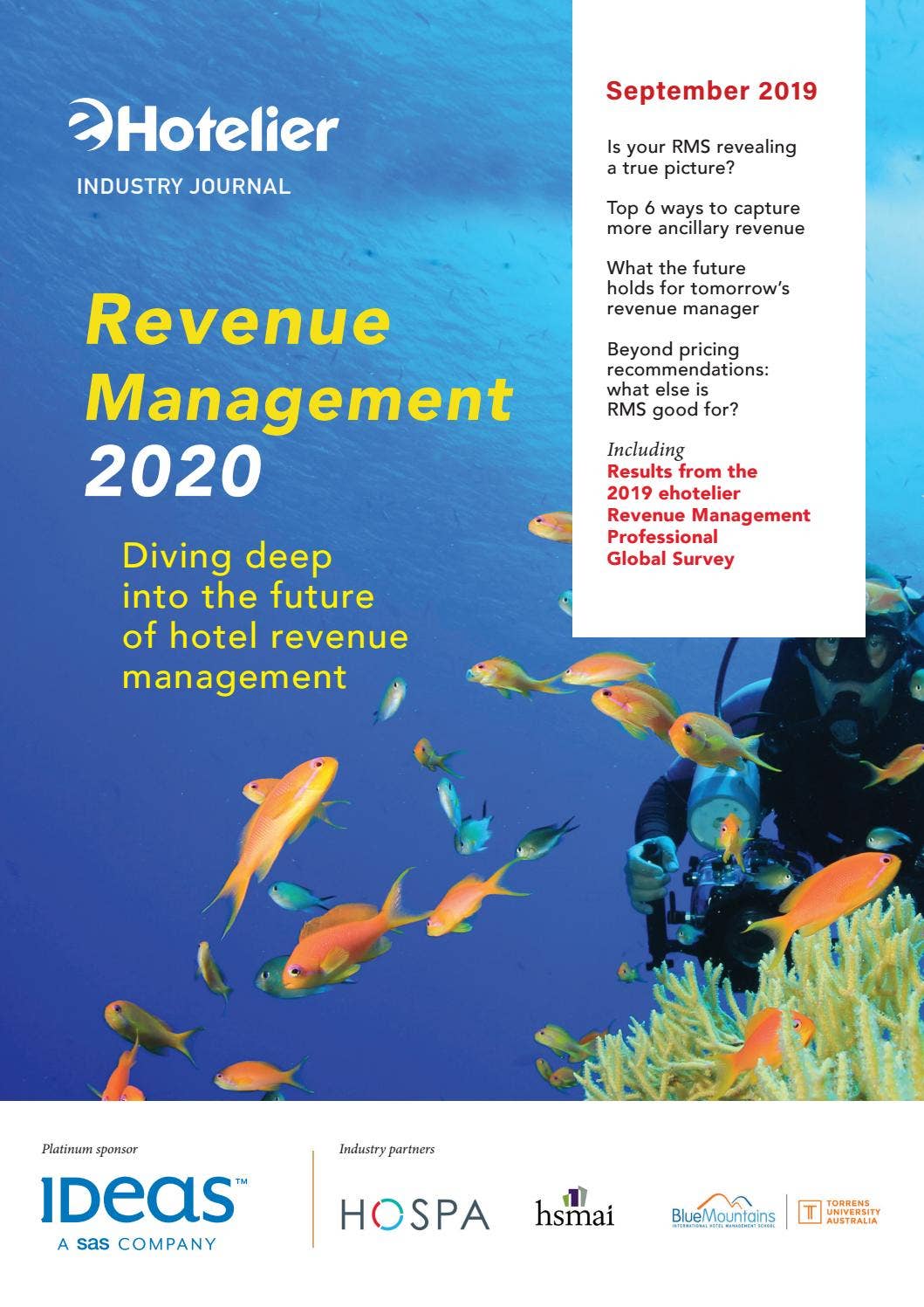 Revenue Management - Industry Journal by eHotelier - Issuu