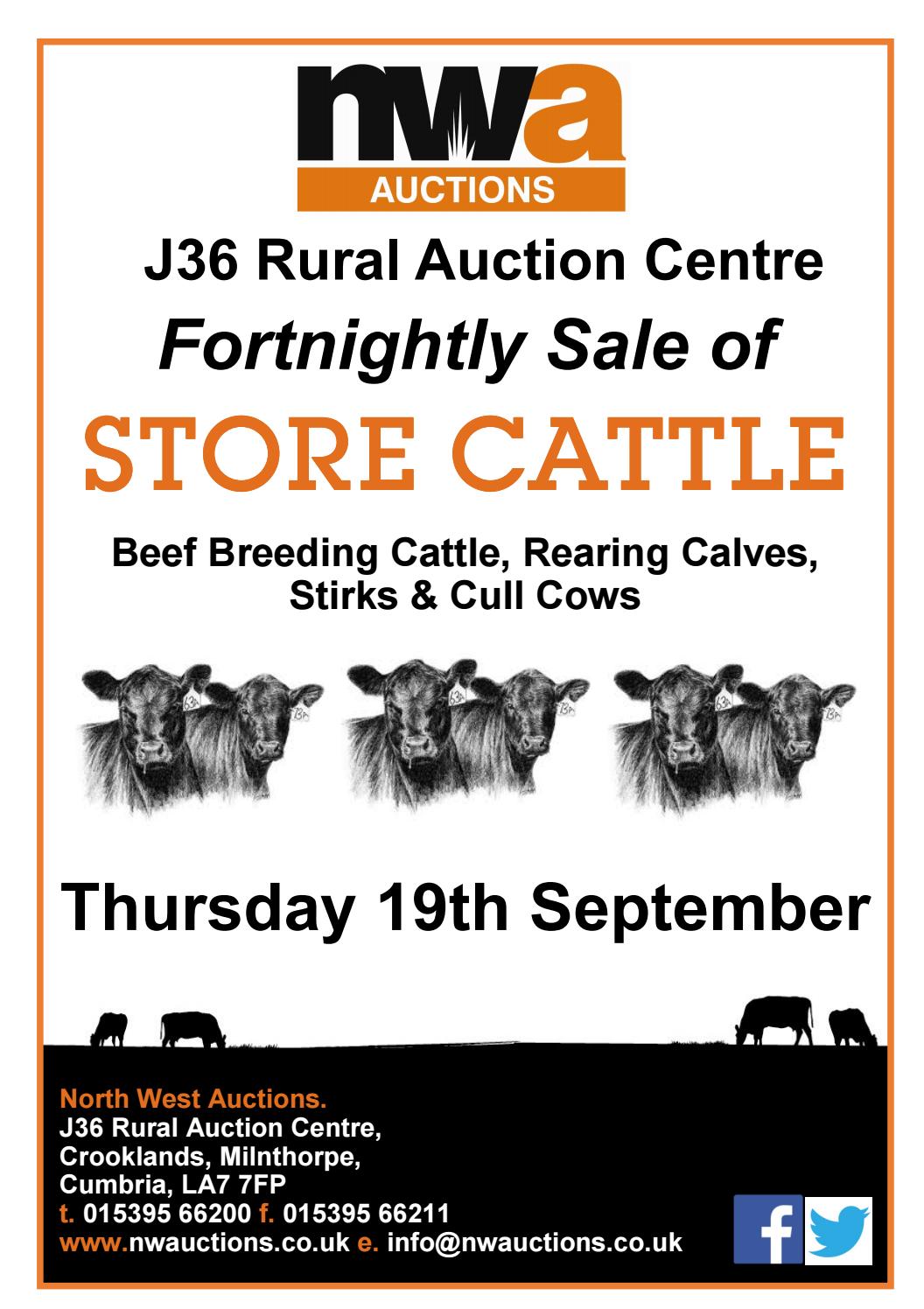 J36 Store Cattle_Thursday 19th September by North West Auctions - Issuu