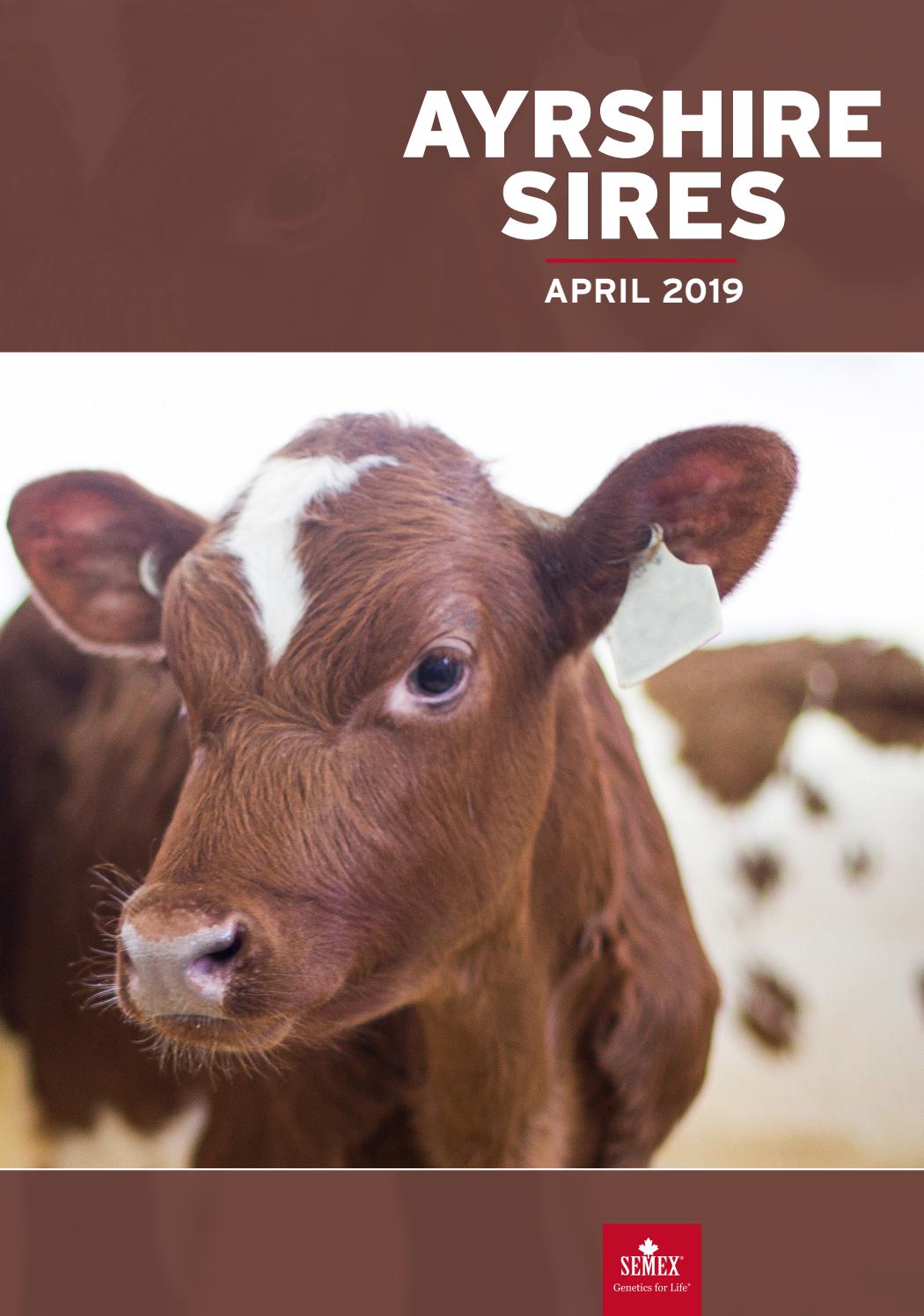 Semex UK - Ayrshire Sire Directory April 2019 by Semex - Issuu