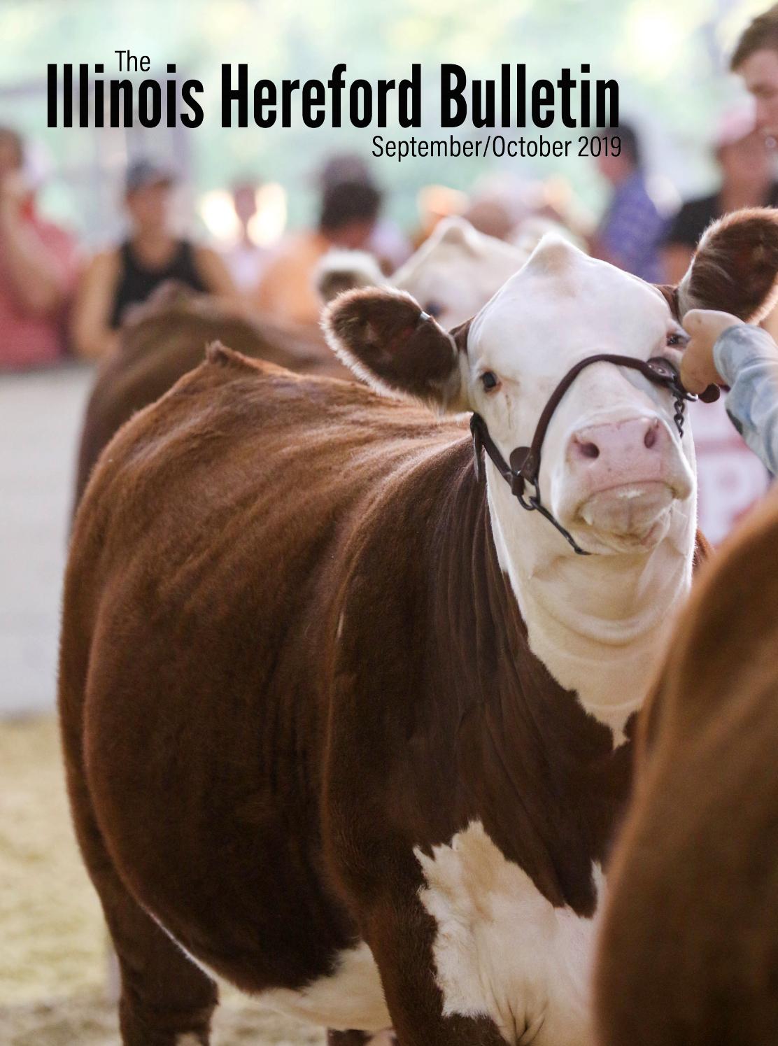 Sept/Oct Illinois Hereford Bulletin by Illinois Beef/Illinois Angus ...