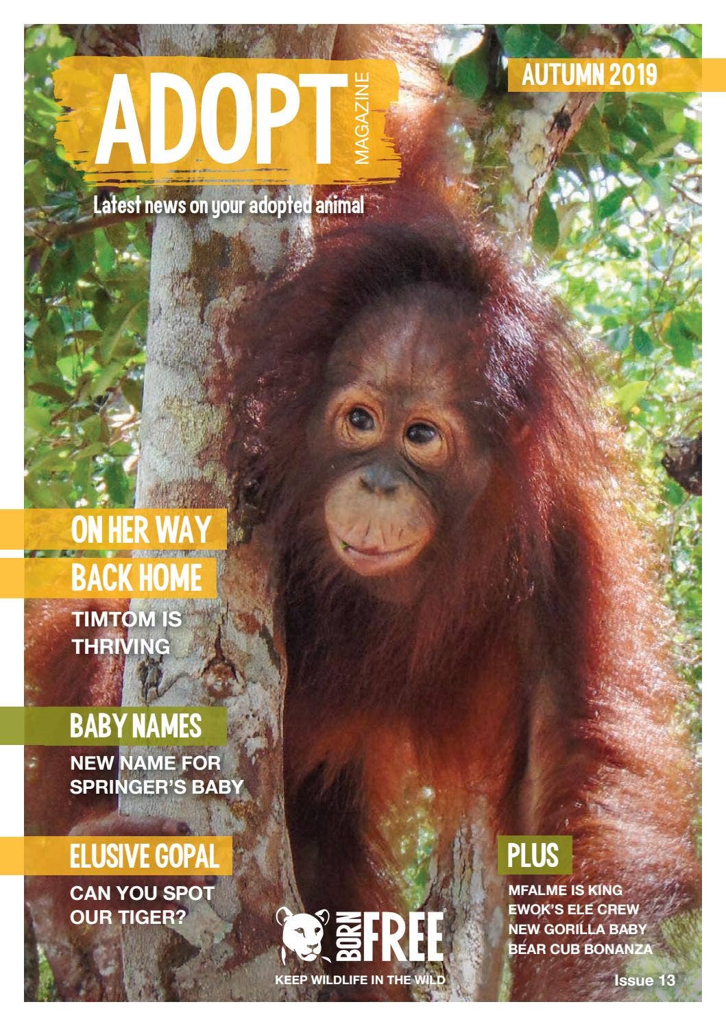 Born Free Adopt Magazine - Autumn 2019 by BornFree - Issuu