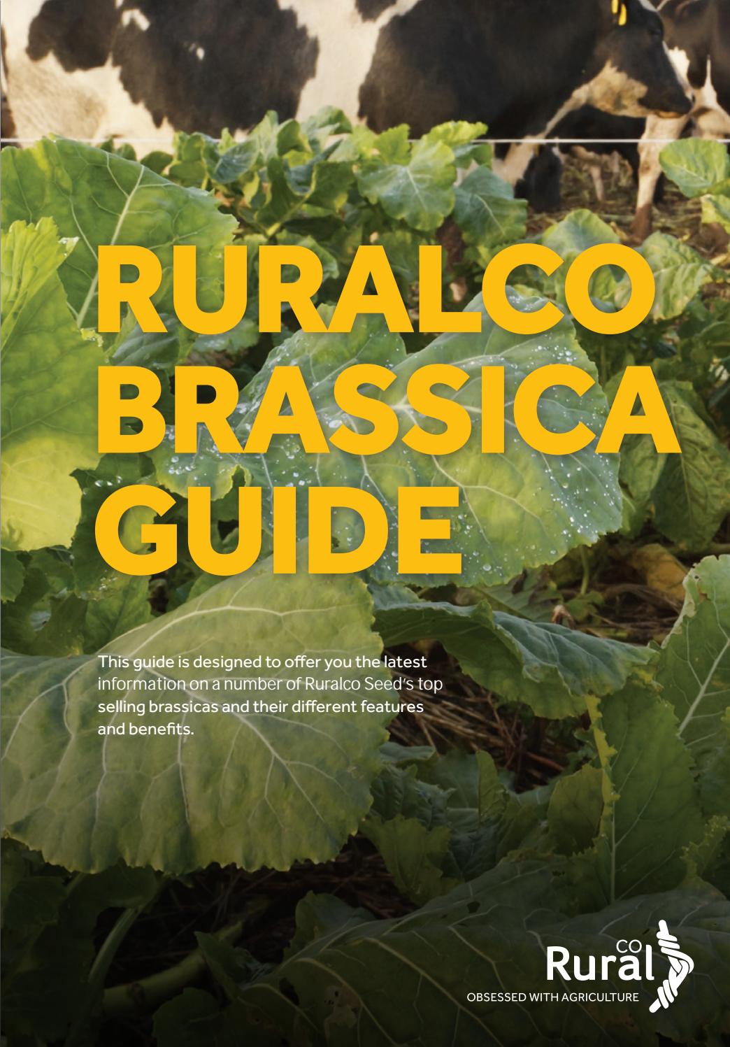 Ruralco Brassica Guide 2019 by Ruralco - Issuu
