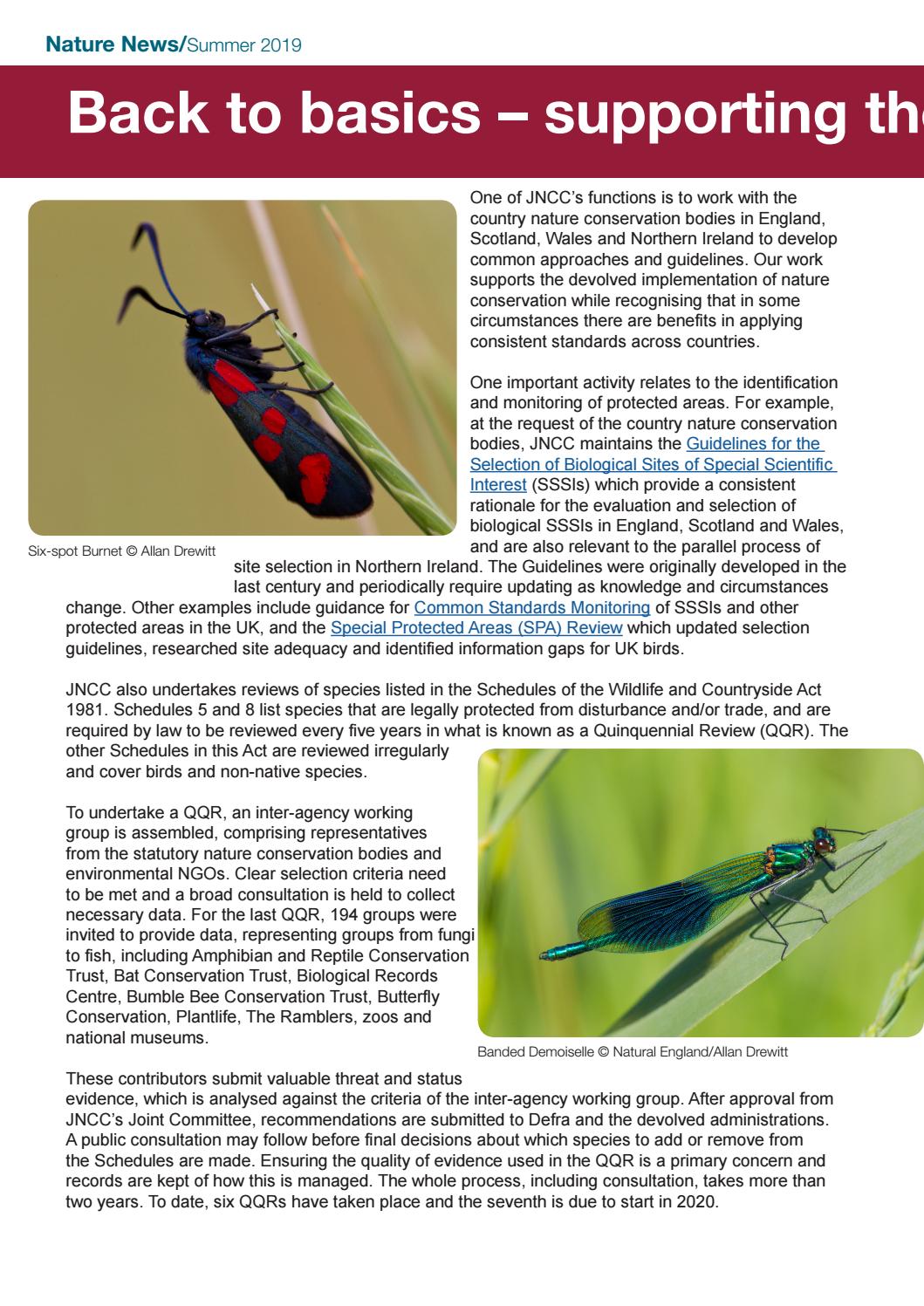 JNCC's Nature News Summer 2019 edition by jncc_uk - Issuu