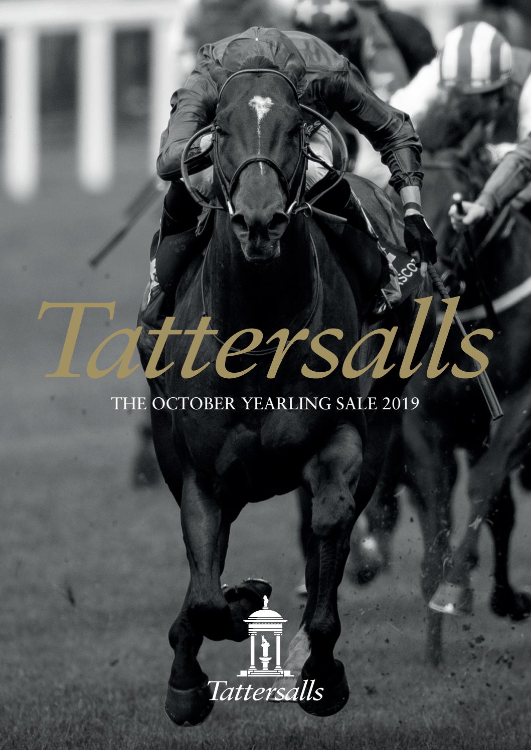 Tattersalls October Yearling Sale Preview Magazine 2019 by Tattersalls ...