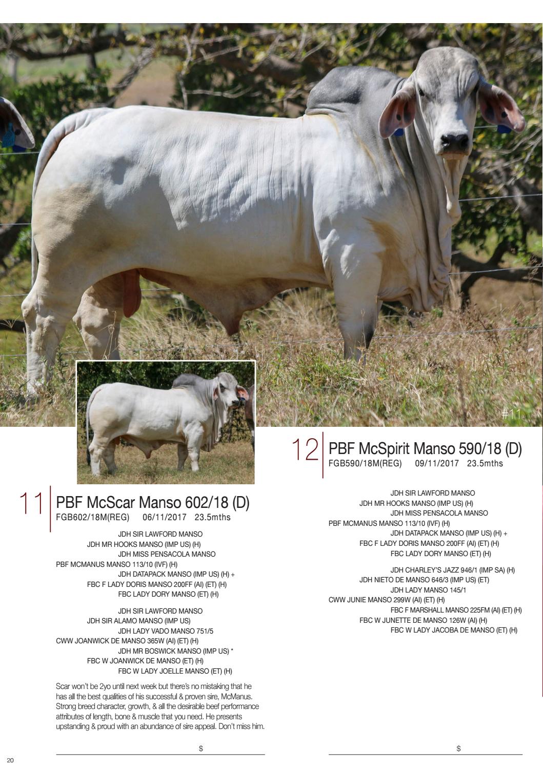 PB Fenech Spring Invitation Sale 2019 by Rural Design Studio - Issuu