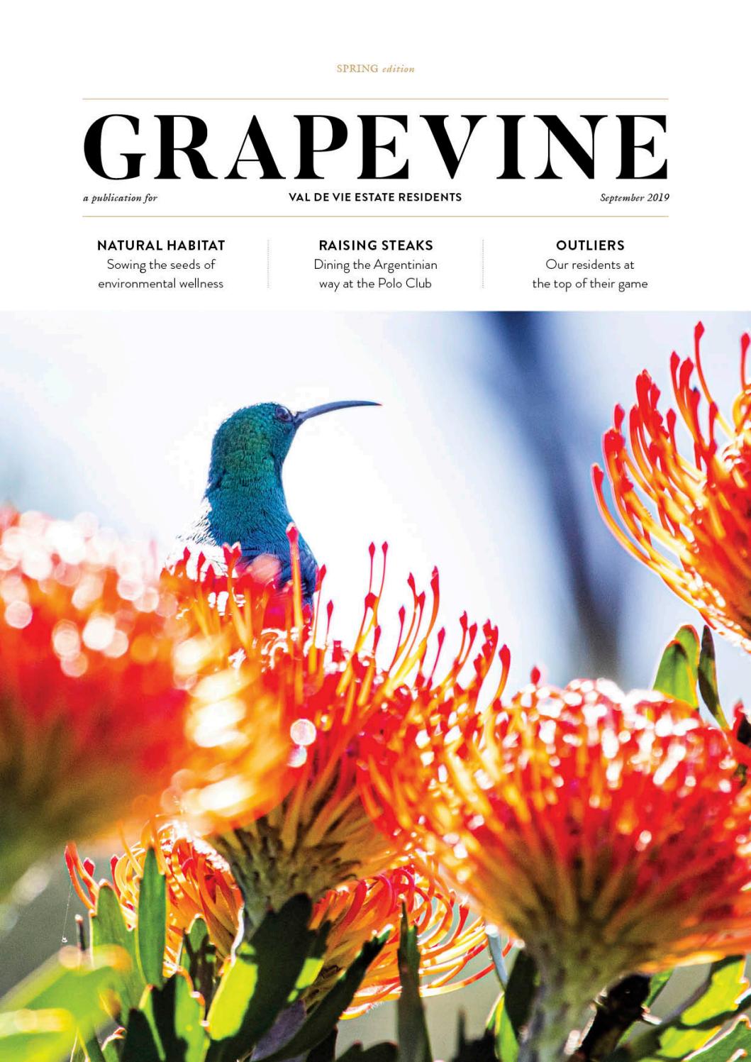 Grapevine Magazine Spring Edition 2019 by Val de Vie Estate - Issuu