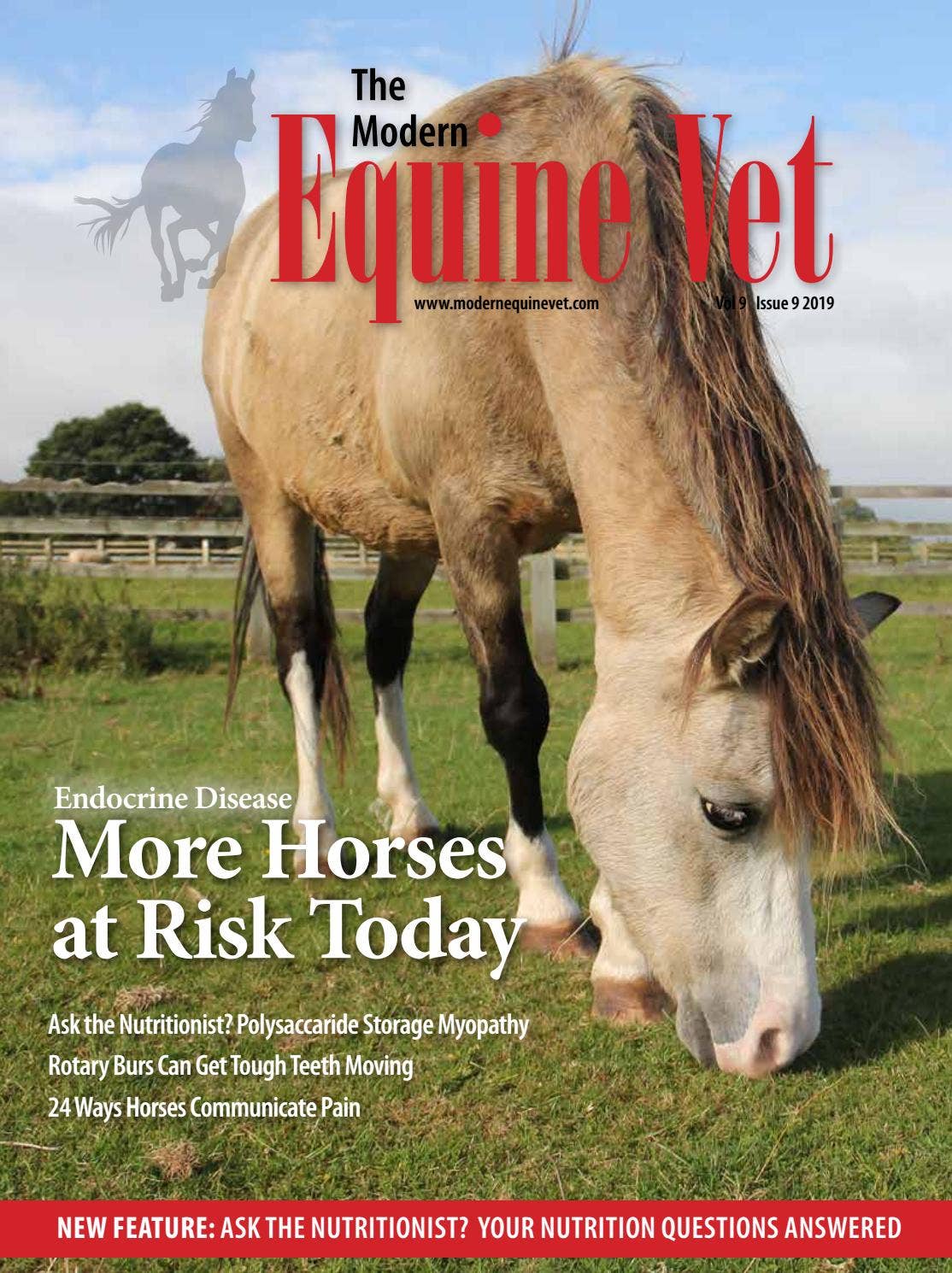 The Modern Equine Vet - September 2019 by The Modern Equine Vet - Issuu