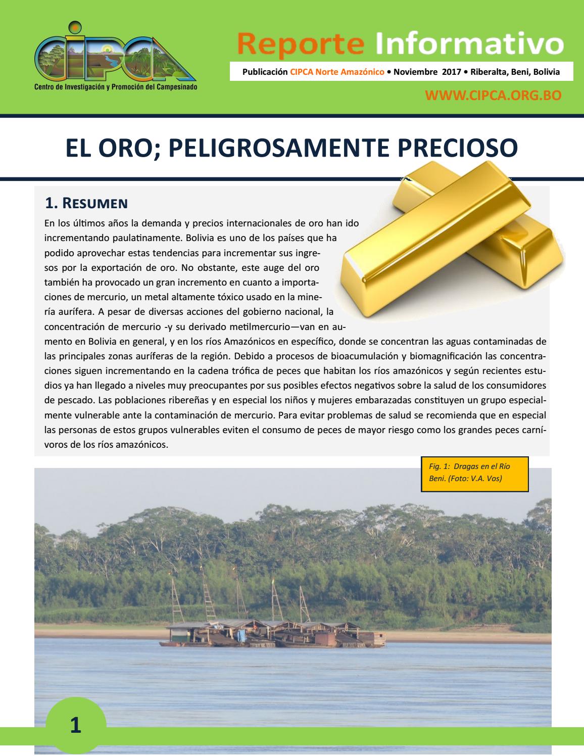 El Oro, peligrosamente precioso by Vincent Vos - Issuu
