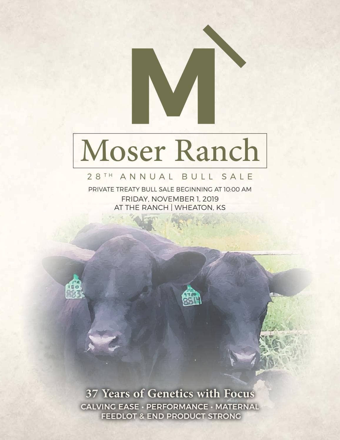 2019 Moser Ranch Sale Catalog by Generation 6 Marketing - Issuu