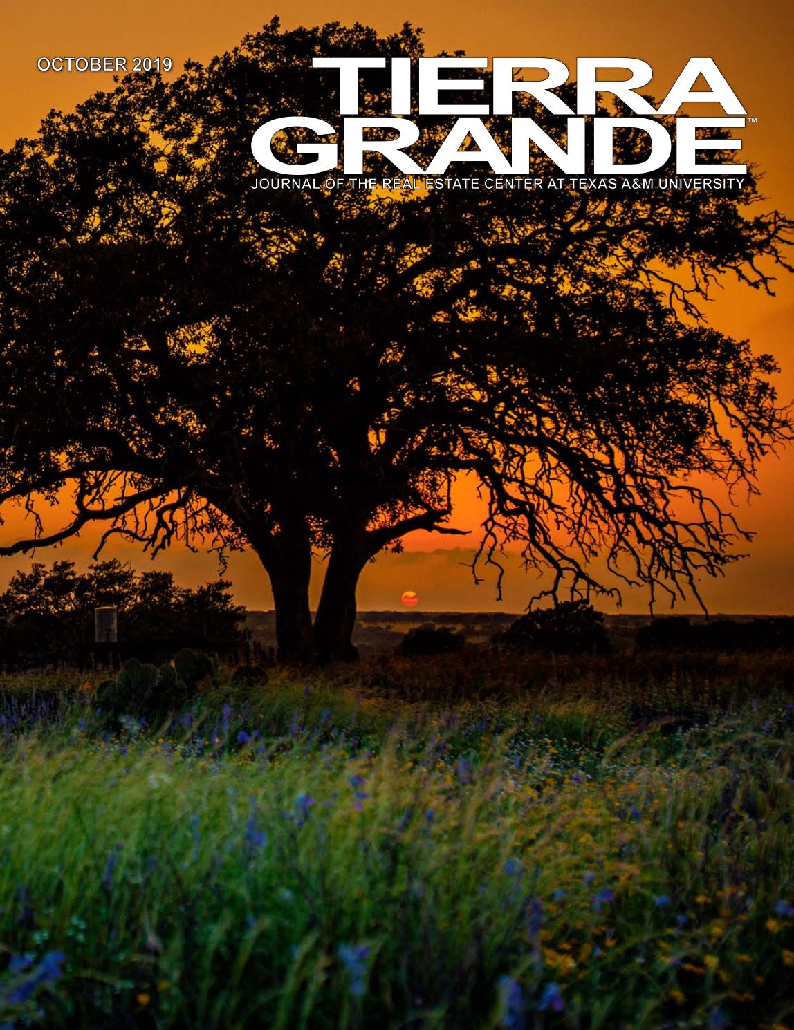Tierra Grande - October 2019 by Texas Real Estate Research Center - Issuu