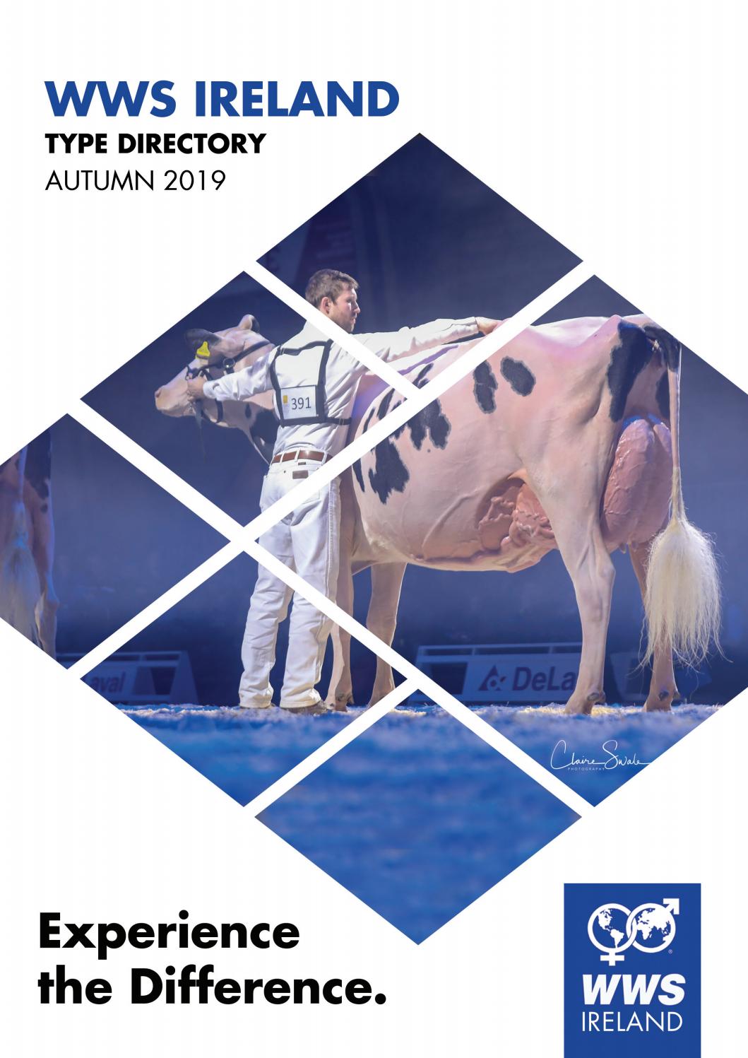 WWS Ireland Type Directory 2019 by WWS Ireland - Issuu