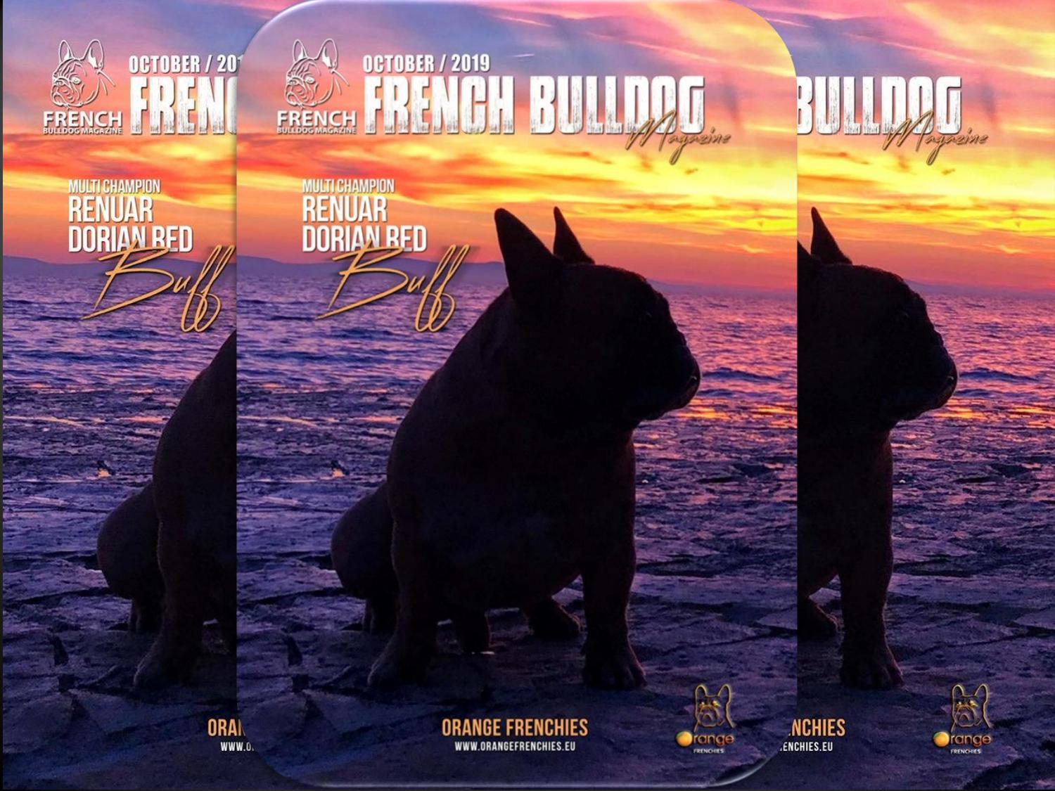 French Bulldog Magazine - October 2019 by Theo Koekemoer - Issuu