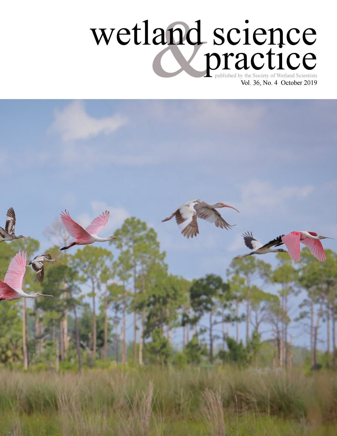 October 2019 Wetland Science & Practice by Society of Wetland ...
