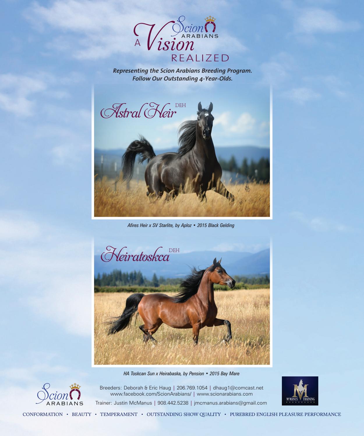 Scion Arabians, 2019 Advertising with Arabian Horse Times by Arabian ...