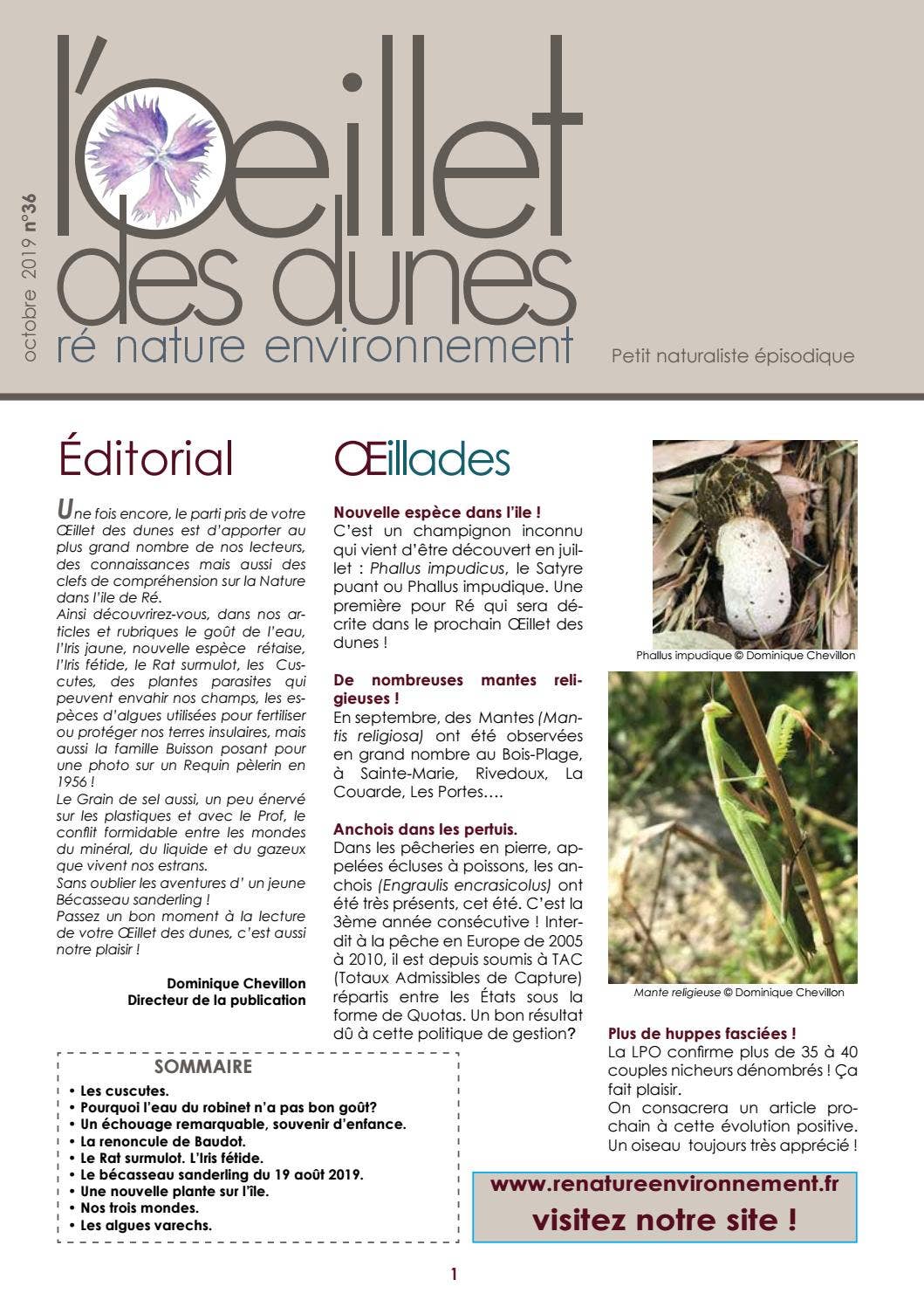 ODD 36 by RHEA MARKETING - Issuu