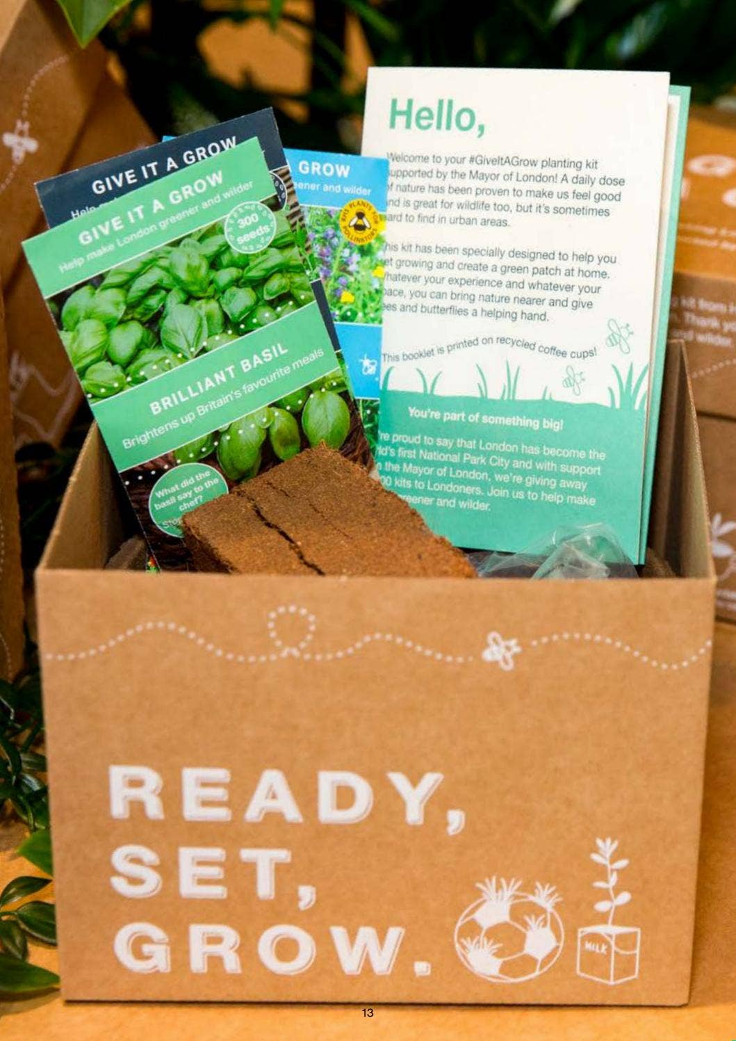 Give It A Grow | 2019 Impact Report | Hubbub by Hubbub - Issuu