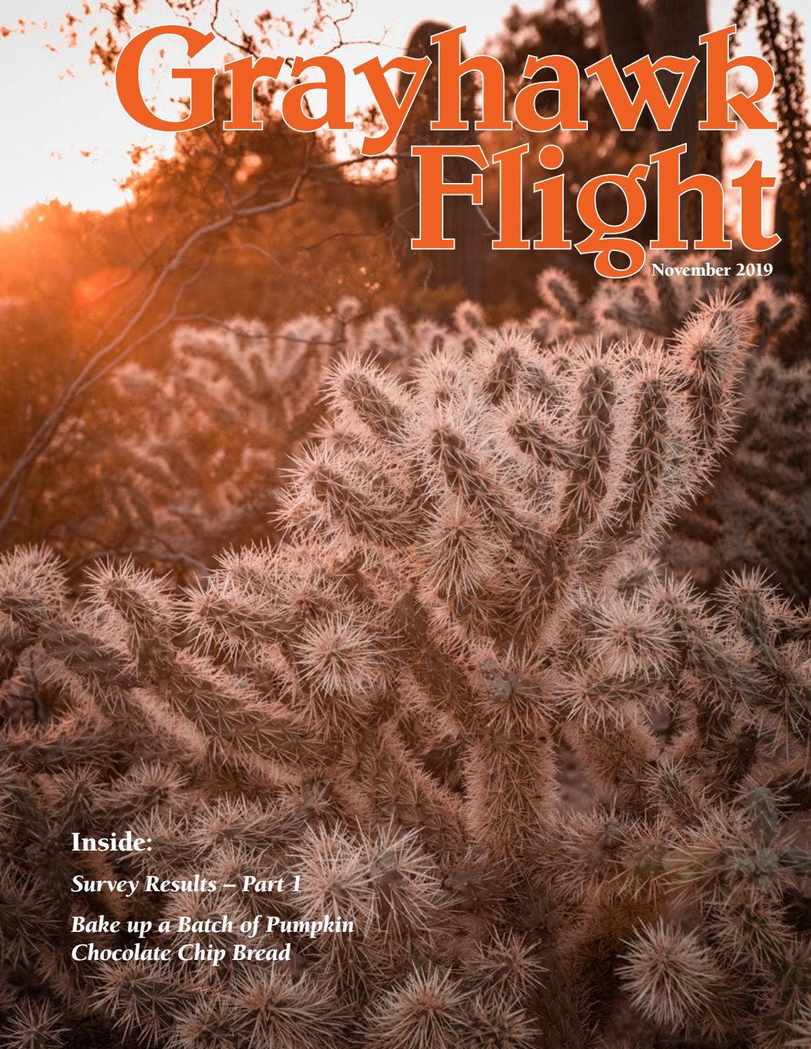 Grayhawk Flight- November 2019 by Grayhawk Flight - Issuu