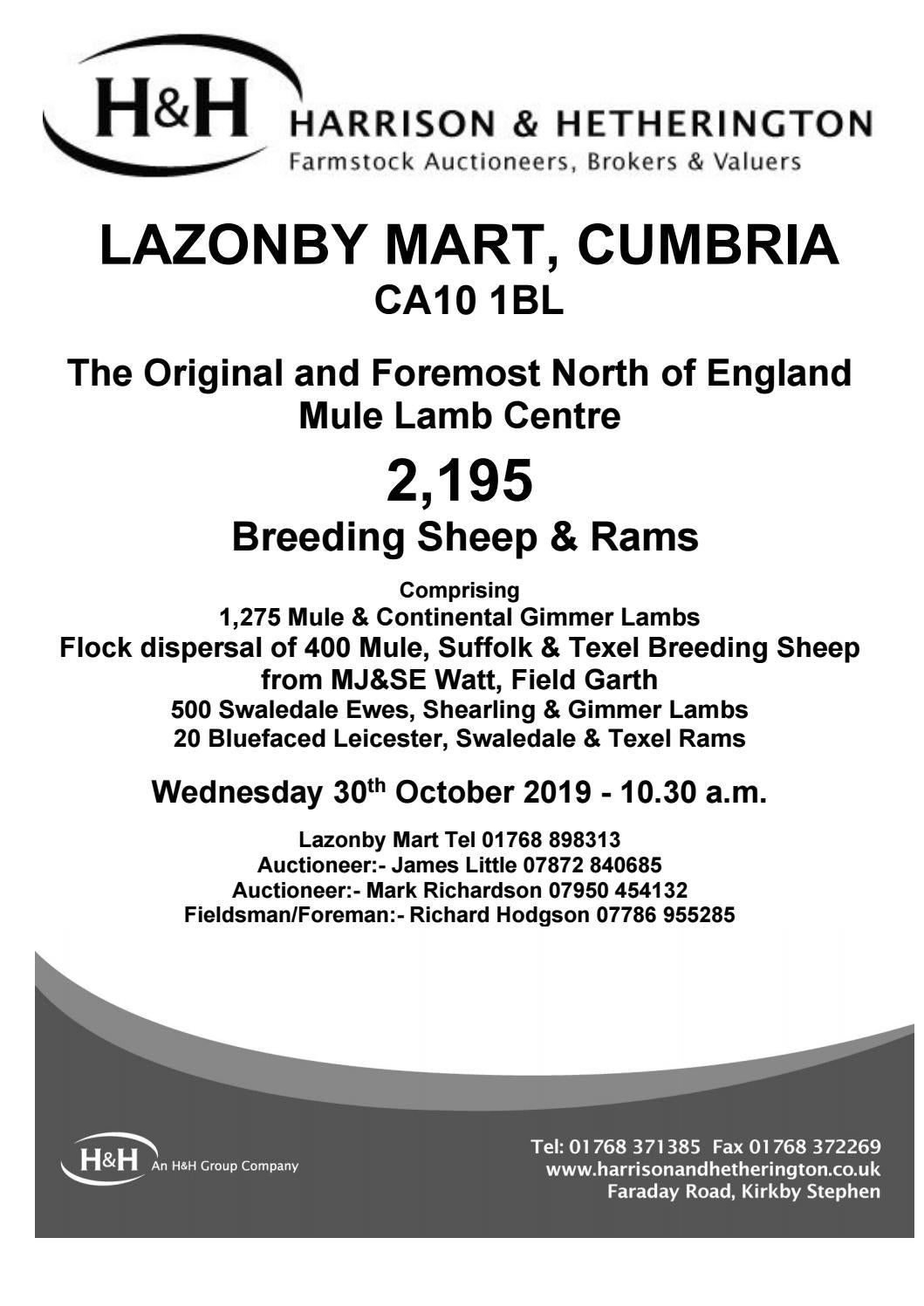 Lazonby Breeding Sheep 301019 by Harrison & Hetherington - Issuu