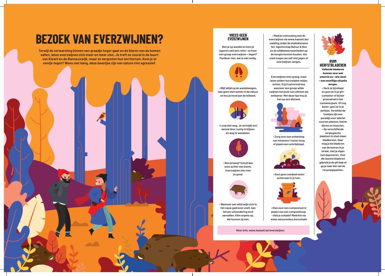 Infografiek: Bezoek van everzwijnen? (november 2019) by Stad Hasselt ...