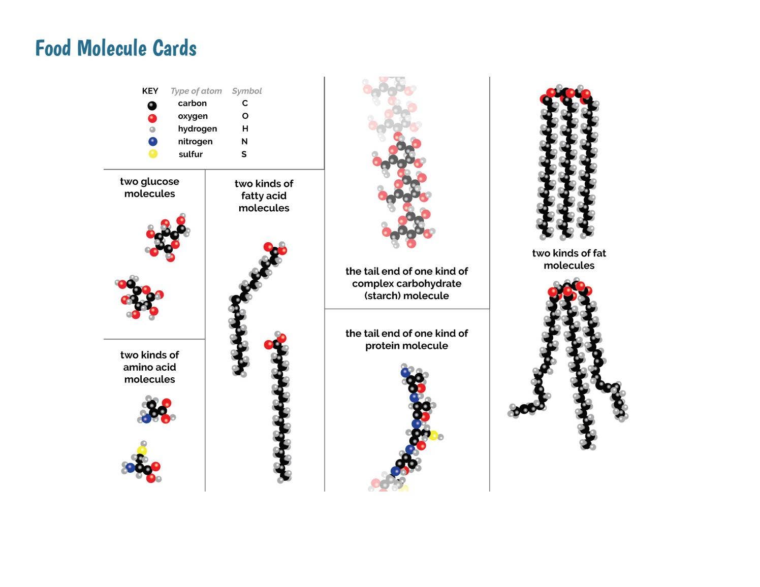 Food Molecule Cards by openscied - Issuu