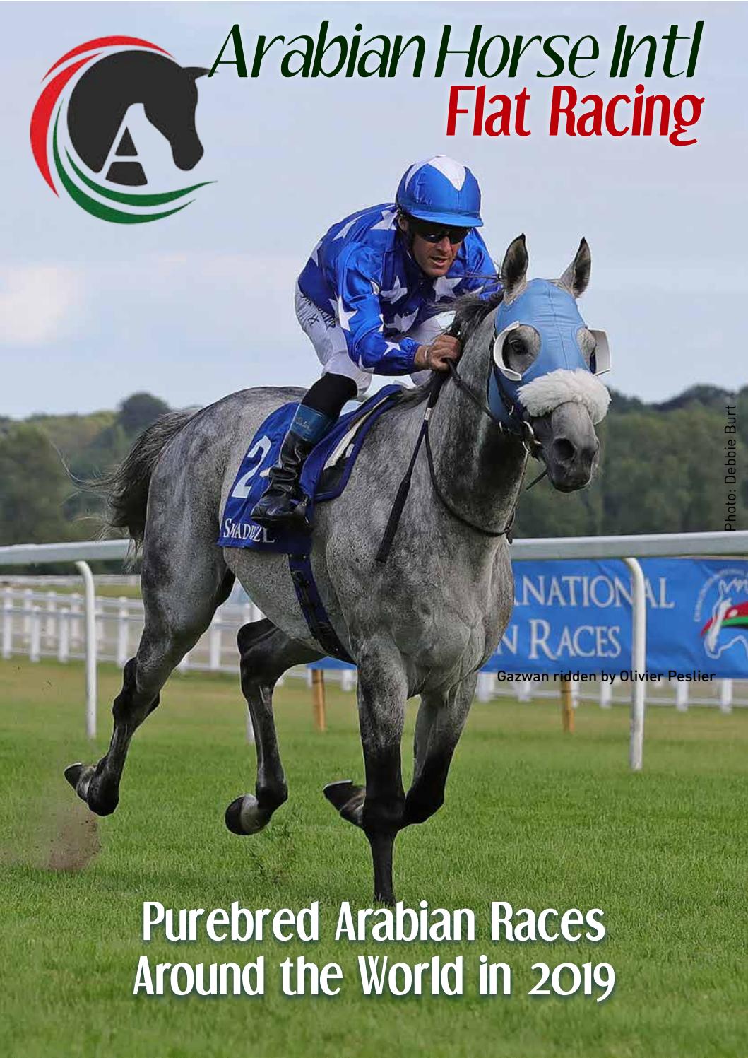 Arabian Horse Intl Flat Racing - Purebred Arabian Races Around the ...