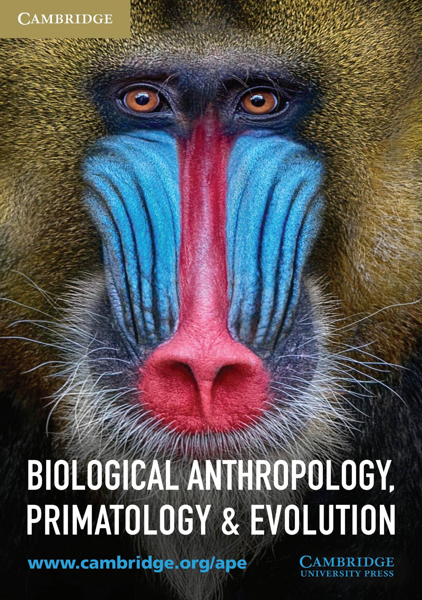 Biological Anthropology, Primatology & Evolution by Cambridge ...