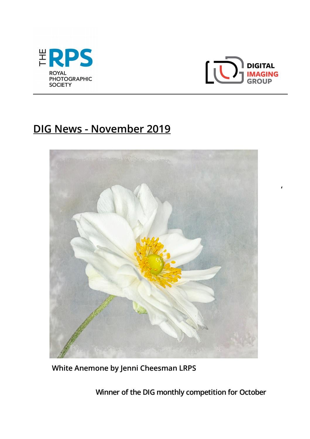 Royal Photographic Society Digital Imaging Group News November 2019 by ...