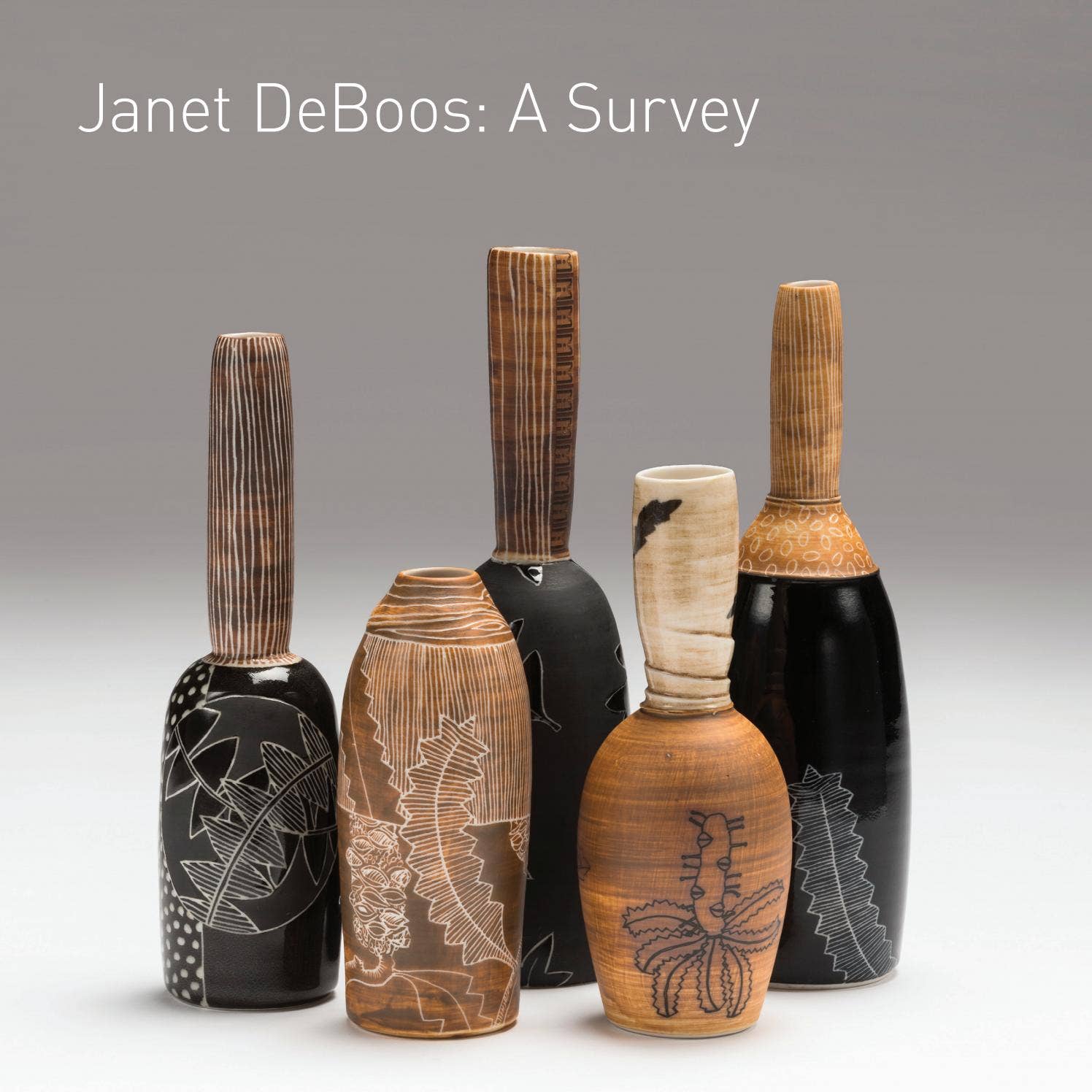 Janet DeBoos: A Survey by 2B Published - Issuu